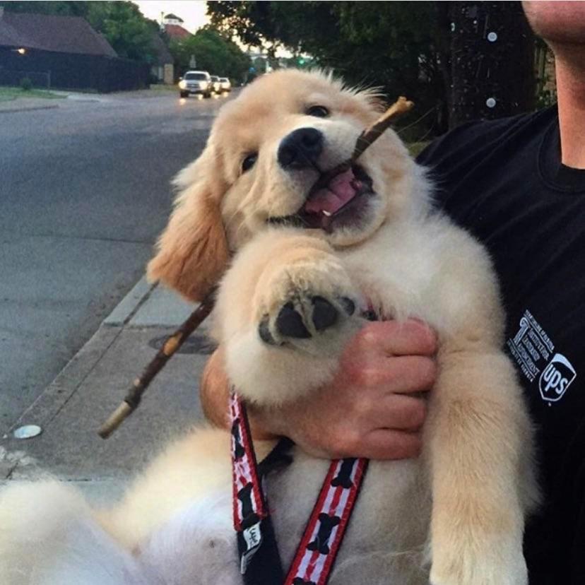 All hail the new Branch manager! | Scrolller