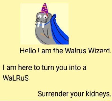 All Hail the Walrus WIzard | Scrolller