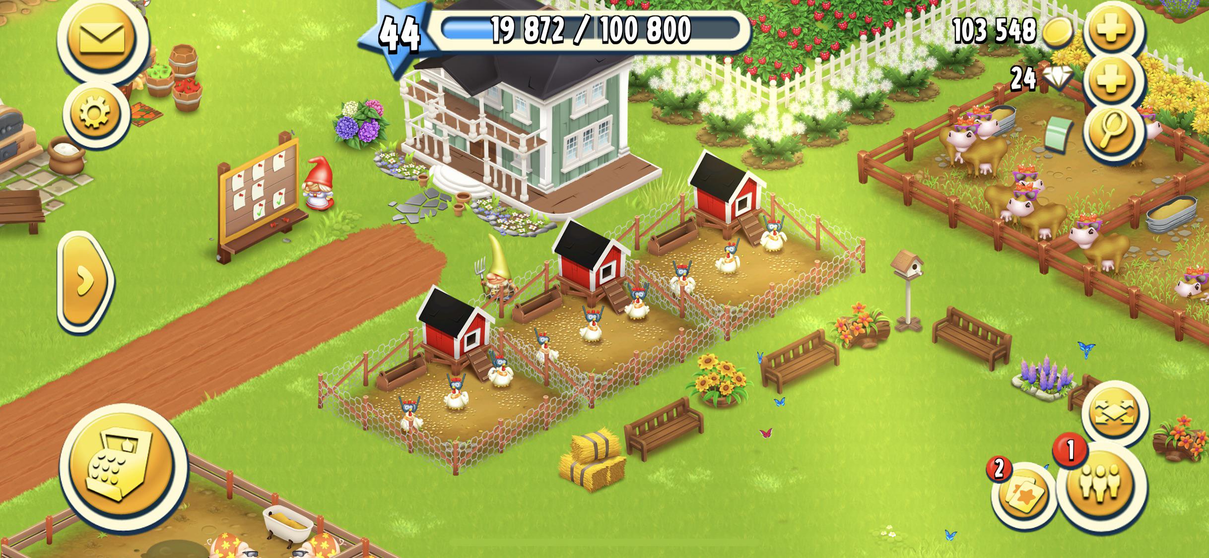 all my chickens are ready to lay eggs all in a row | Scrolller