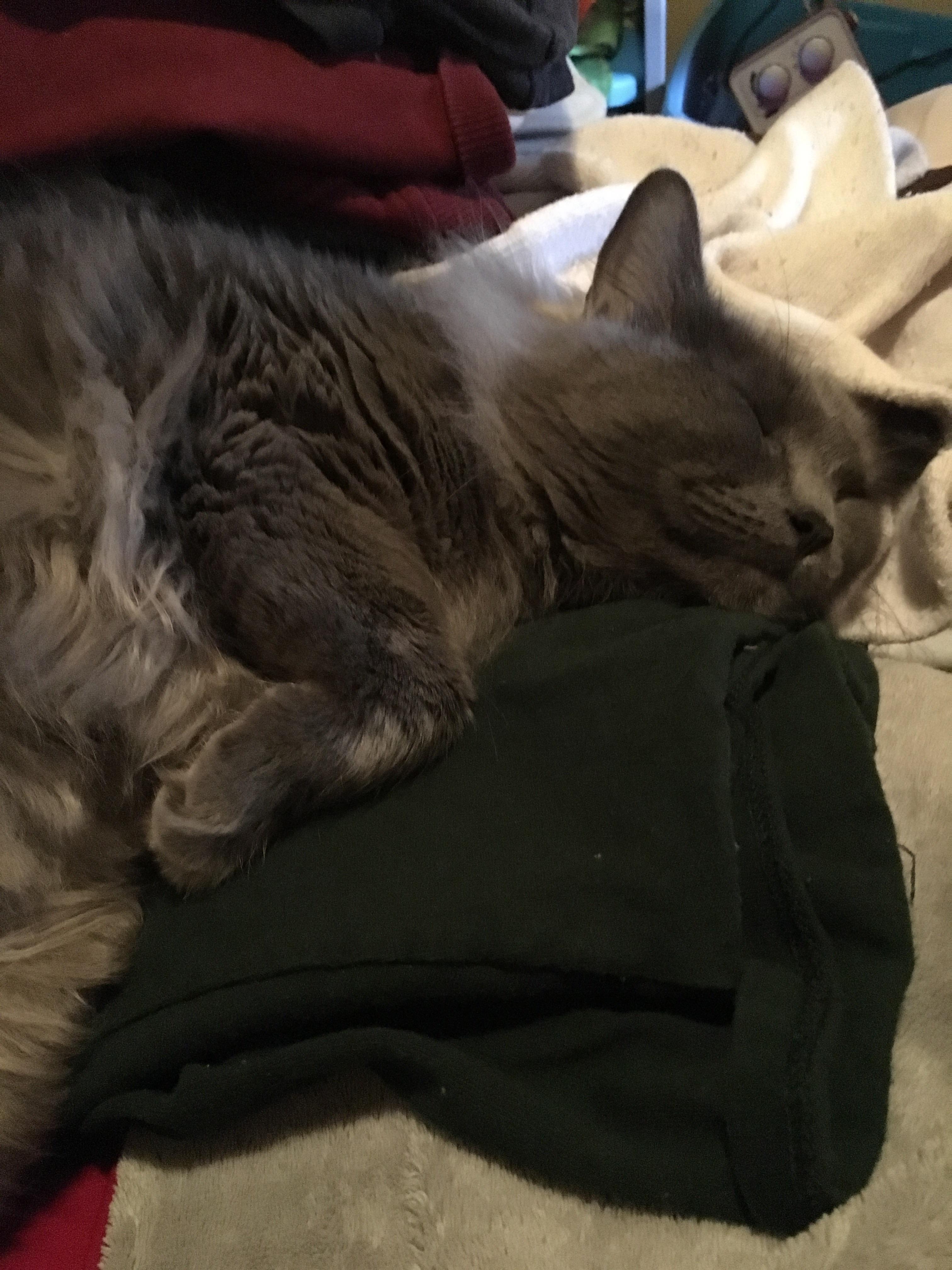 All Natural | Scrolller