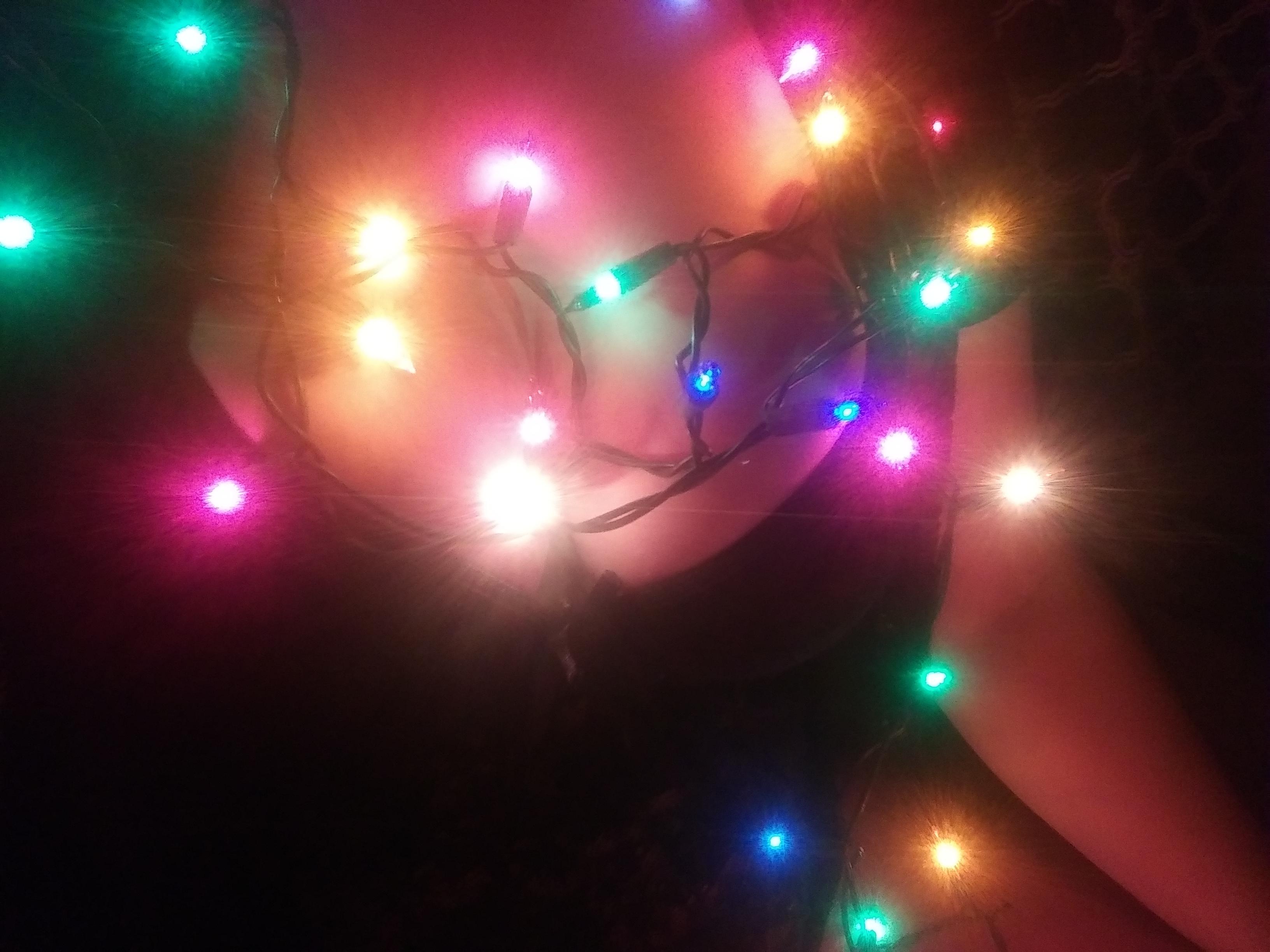 All tangled up | Scrolller