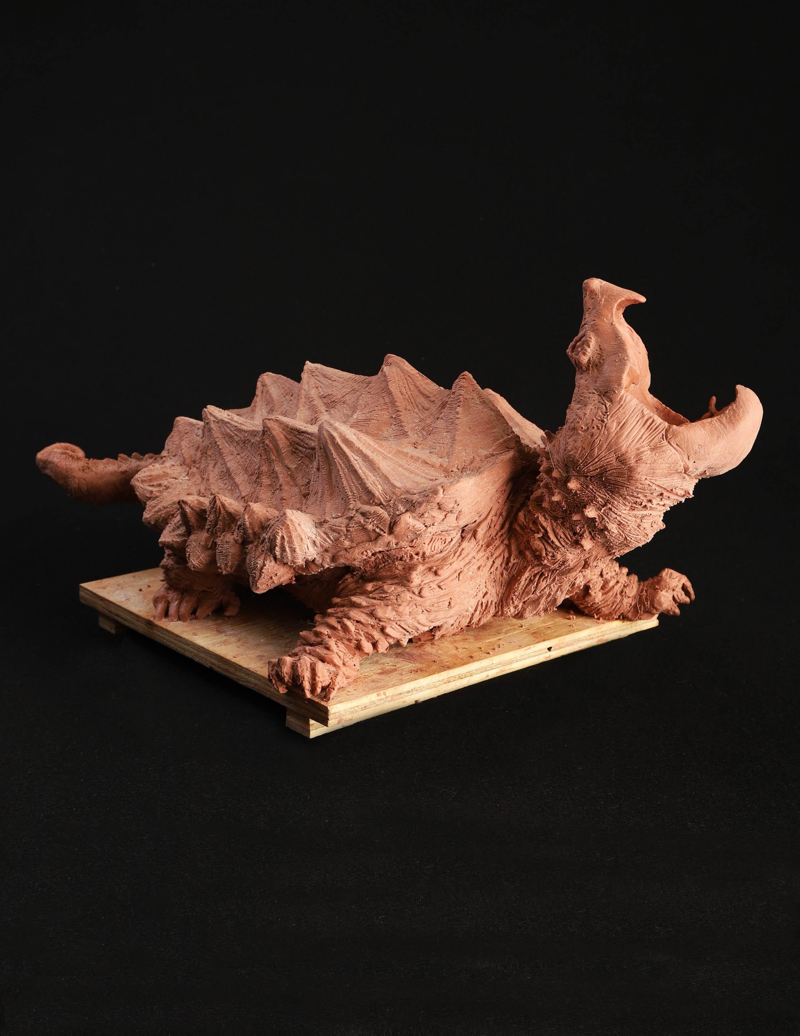 Alligator snapping turtle | Scrolller