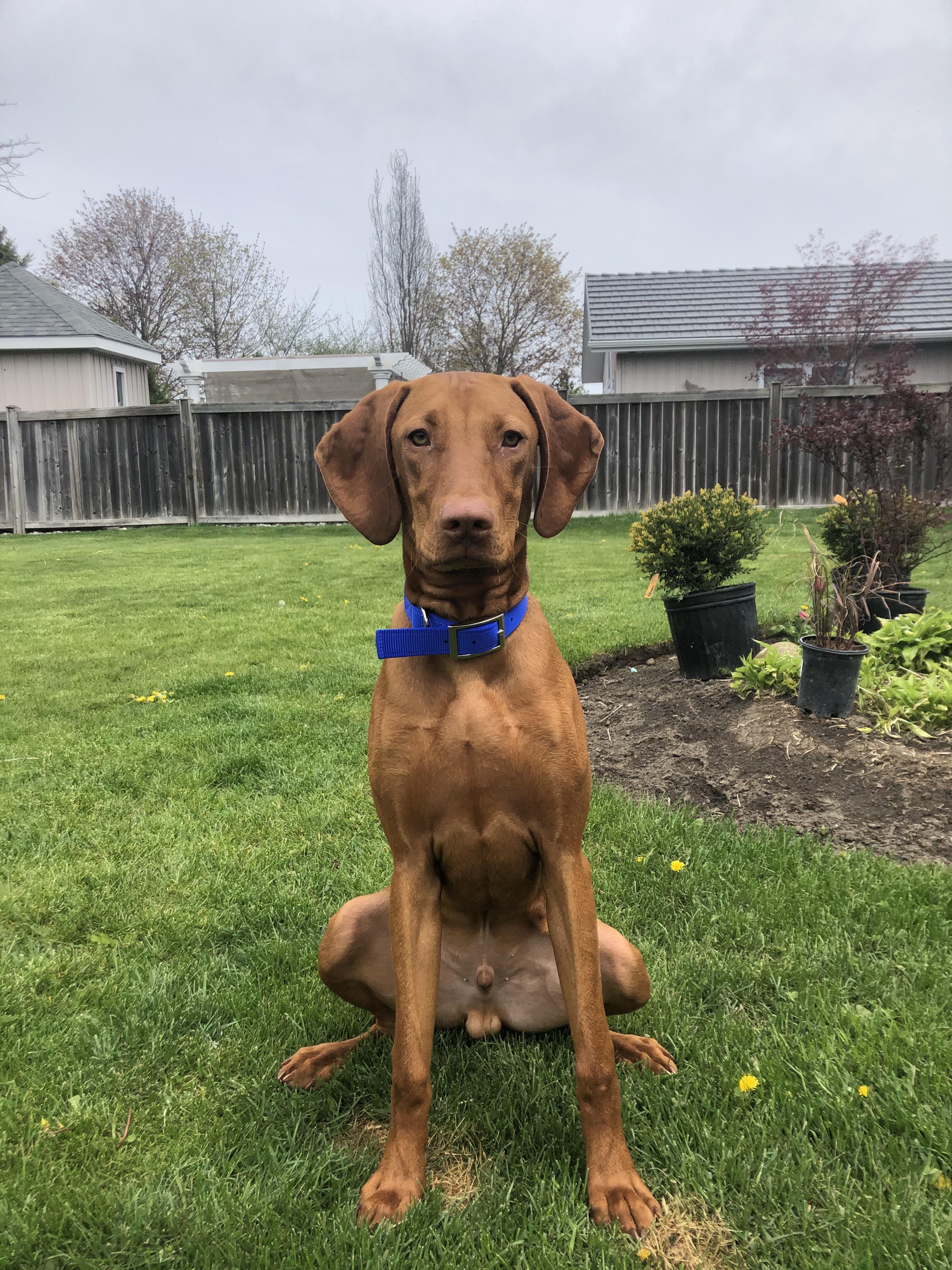 Almost 7 months! | Scrolller