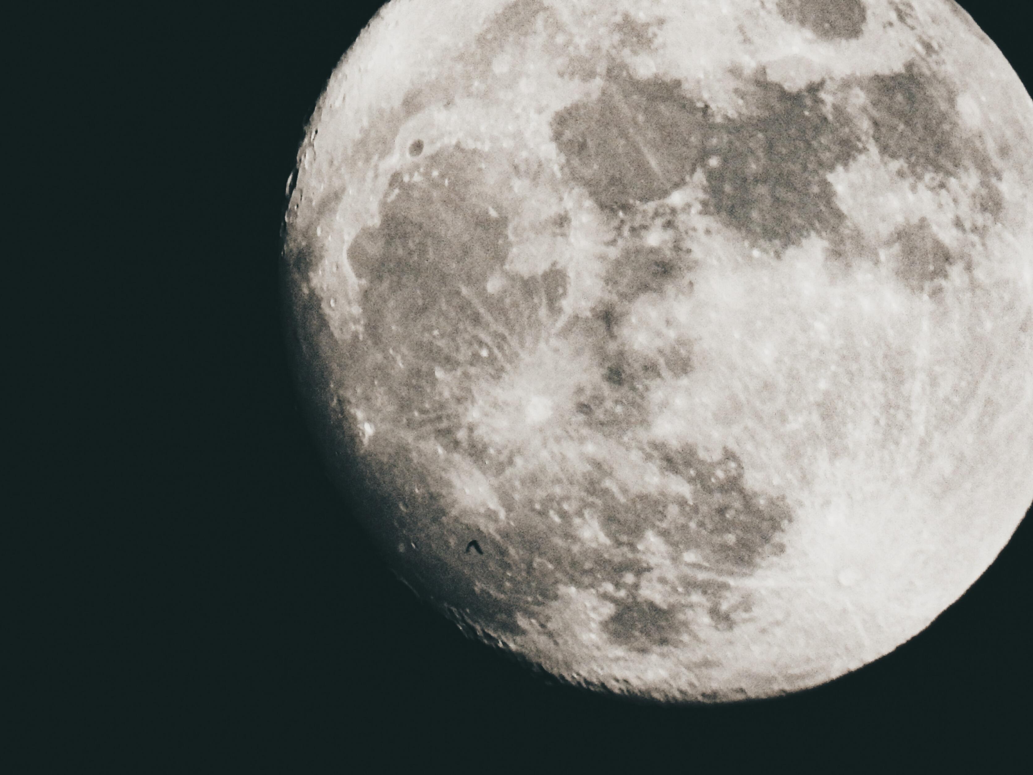 Almost full moon, managed to capture a bird flying by. Lower left. | Scrolller