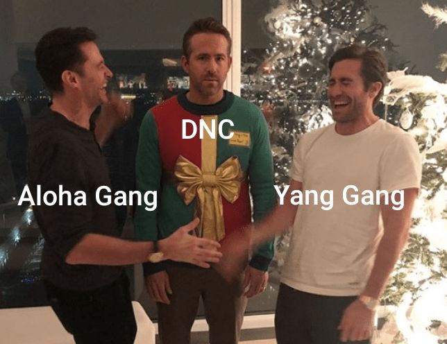 Aloha from the Yang Gang | Scrolller