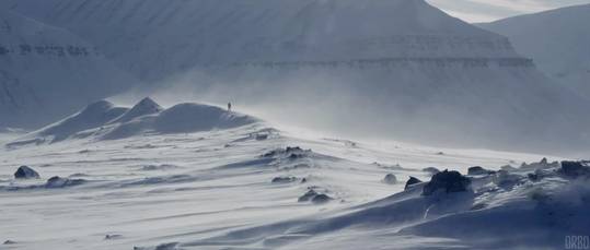 Alone in the Arctic. | Scrolller