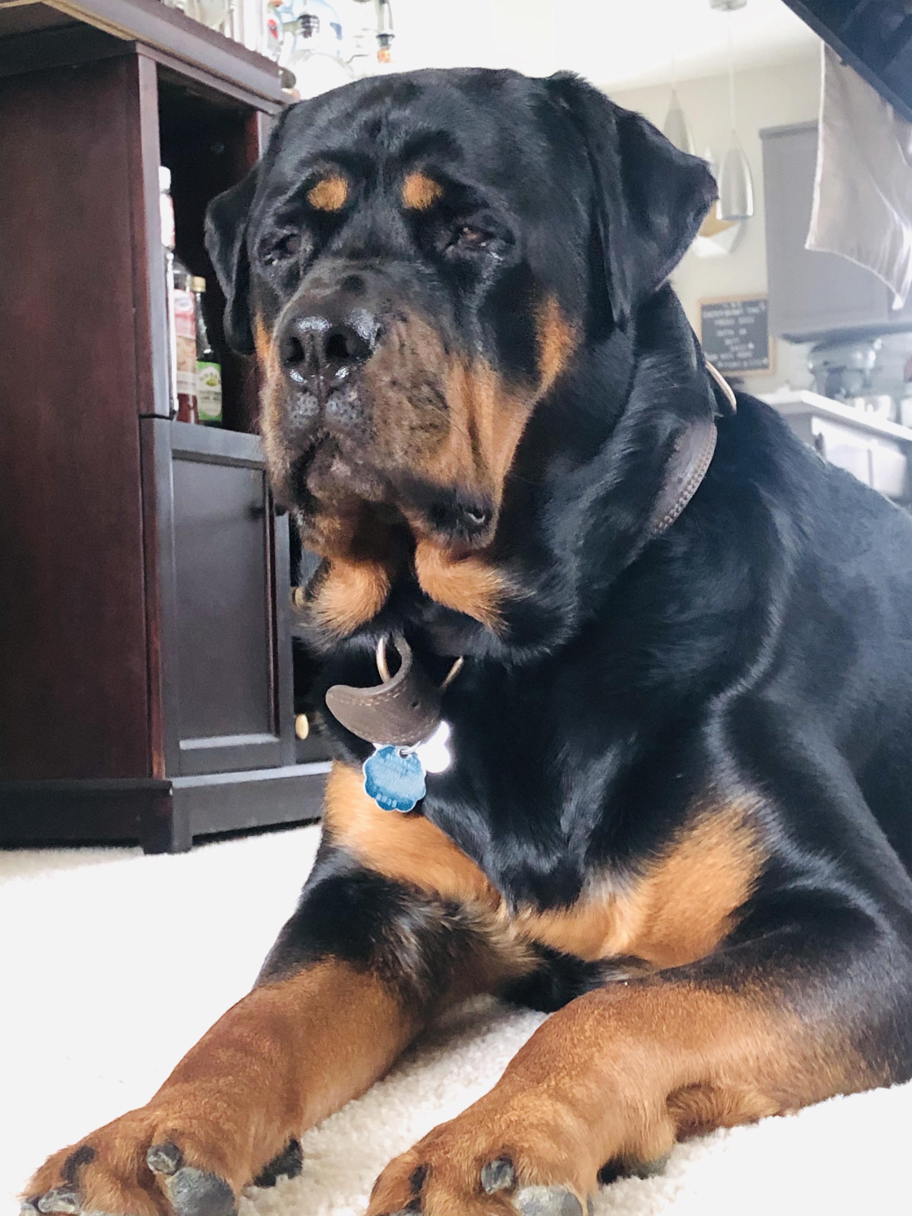 Always watching.... | Scrolller