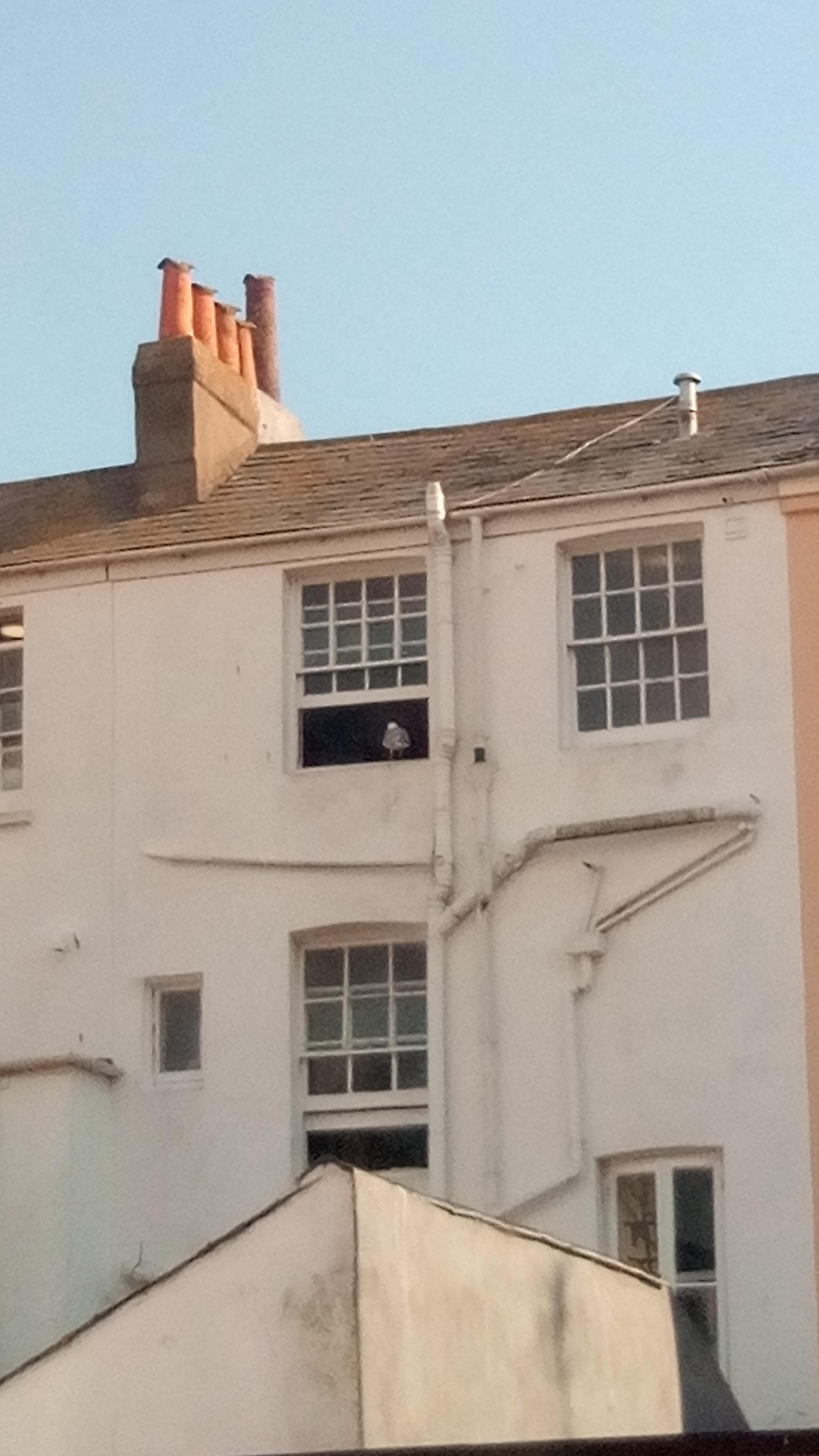 Always watching | Scrolller