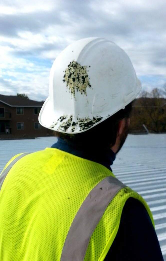 Always wear your PPE | Scrolller