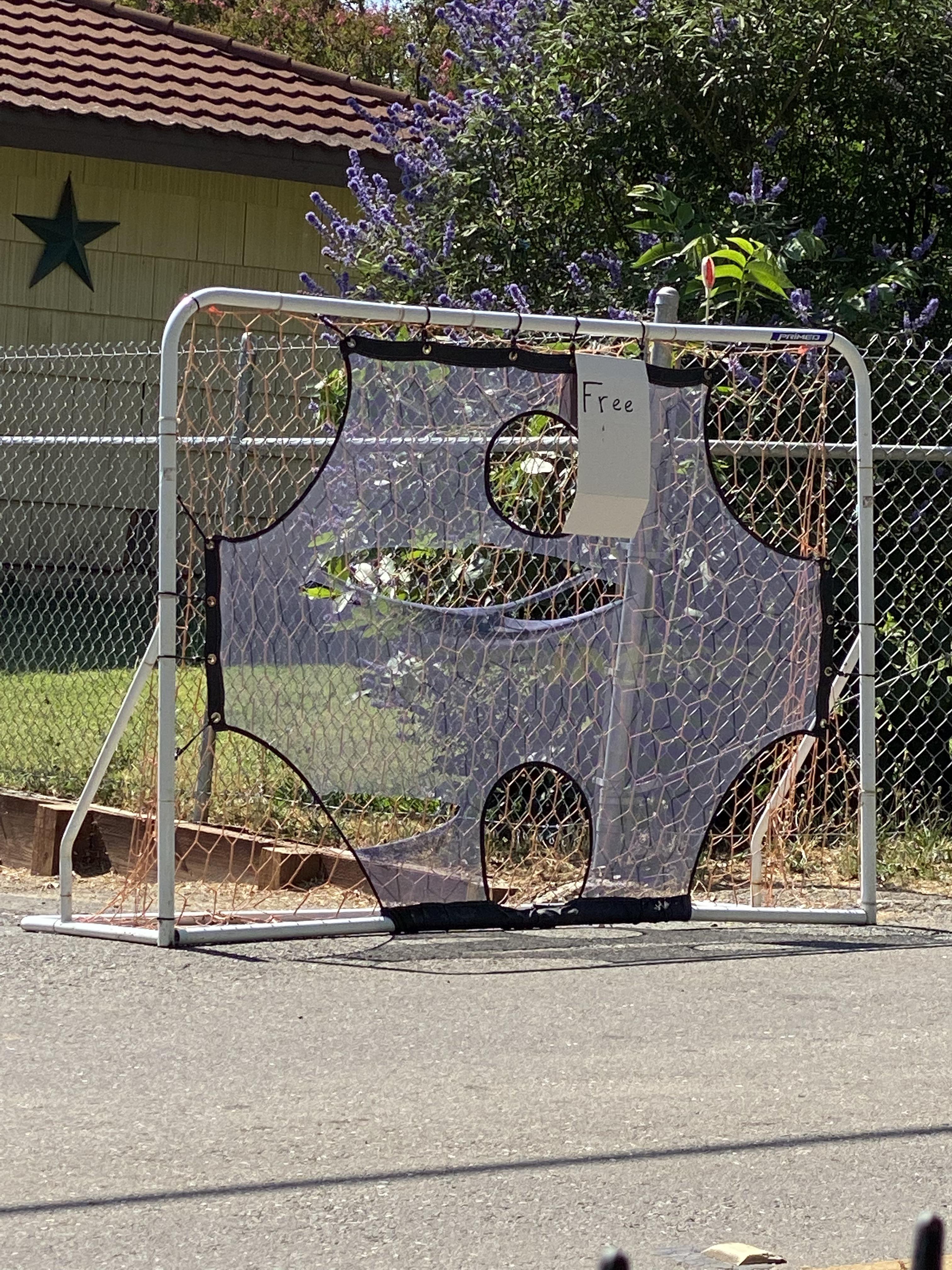 Am I crazy or would this be a sick trellis ?😂 | Scrolller