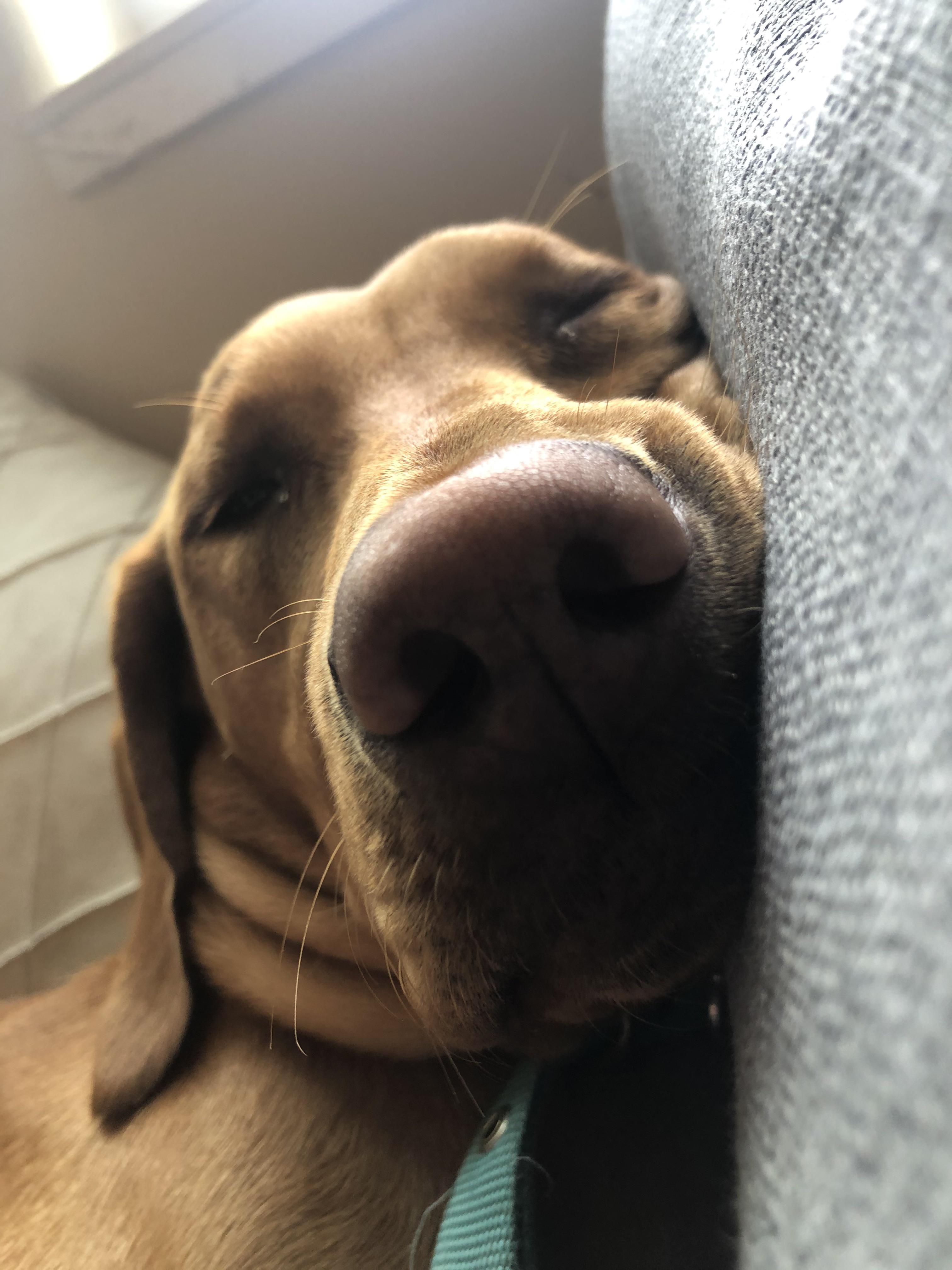 Am sleepy | Scrolller