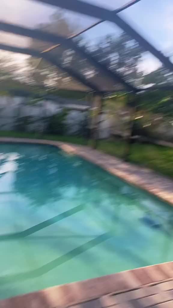 Amazing Angel | Scrolller