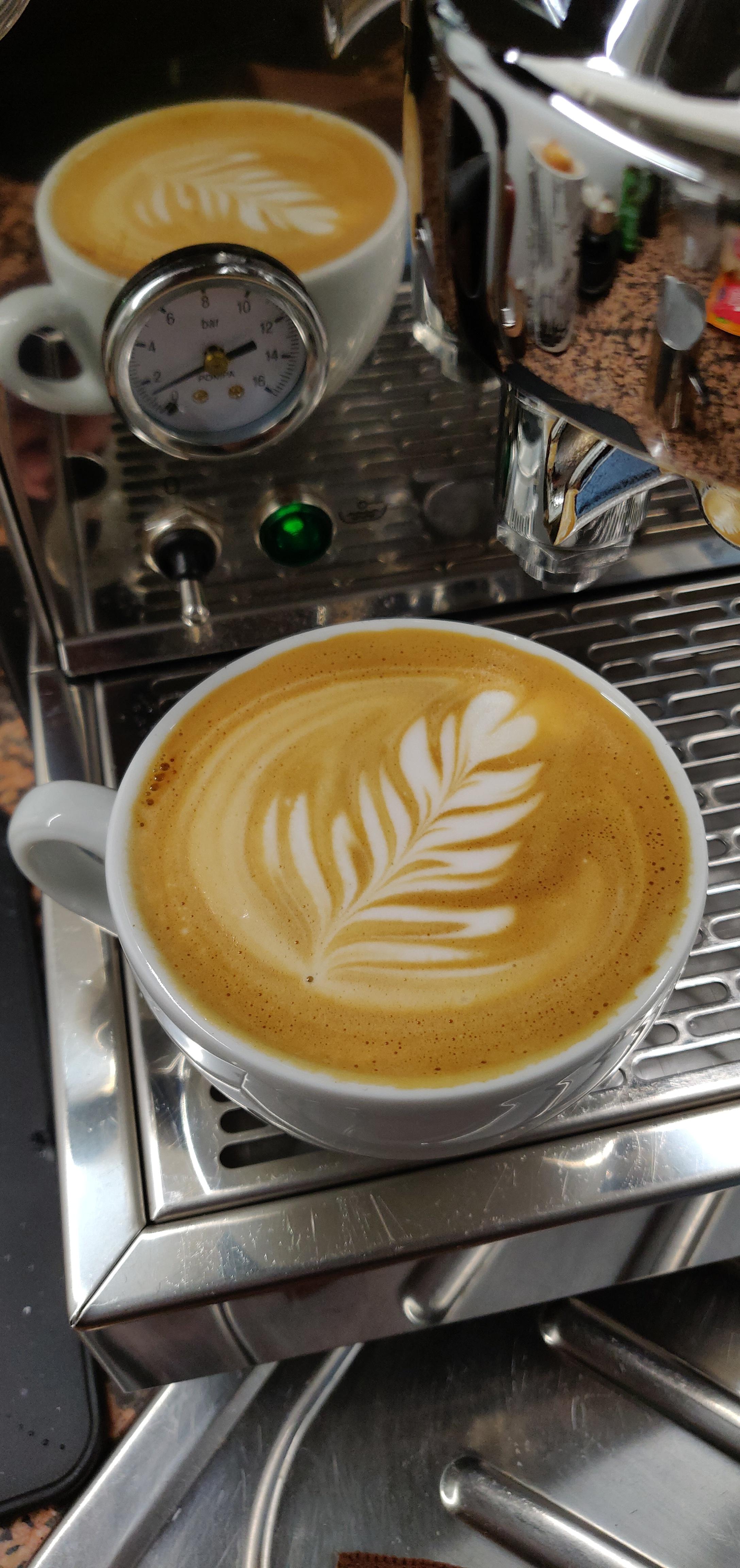 Amping up my rosetta game. | Scrolller