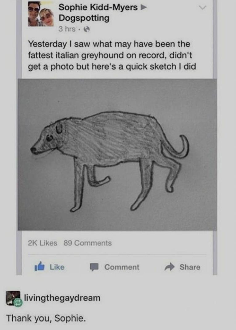 An absolute unit | Scrolller