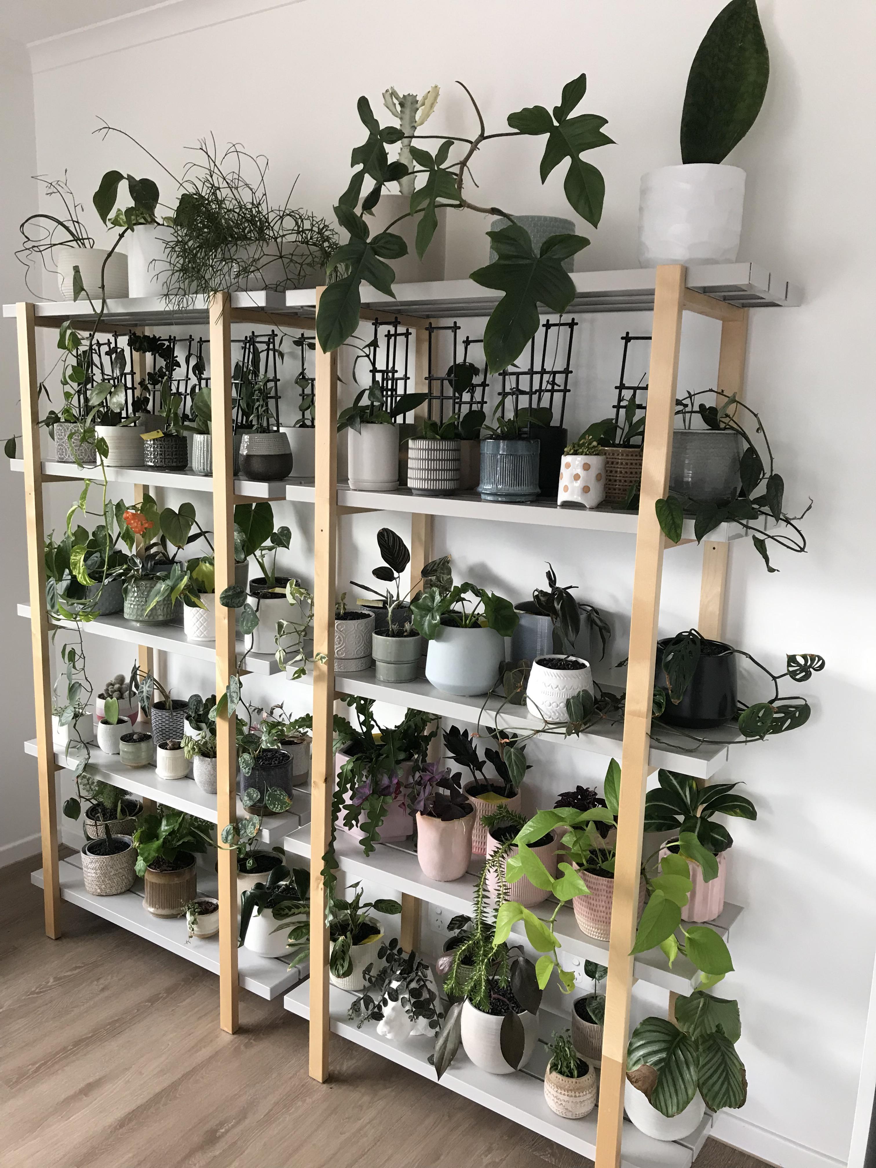 An updated shelfie | Scrolller