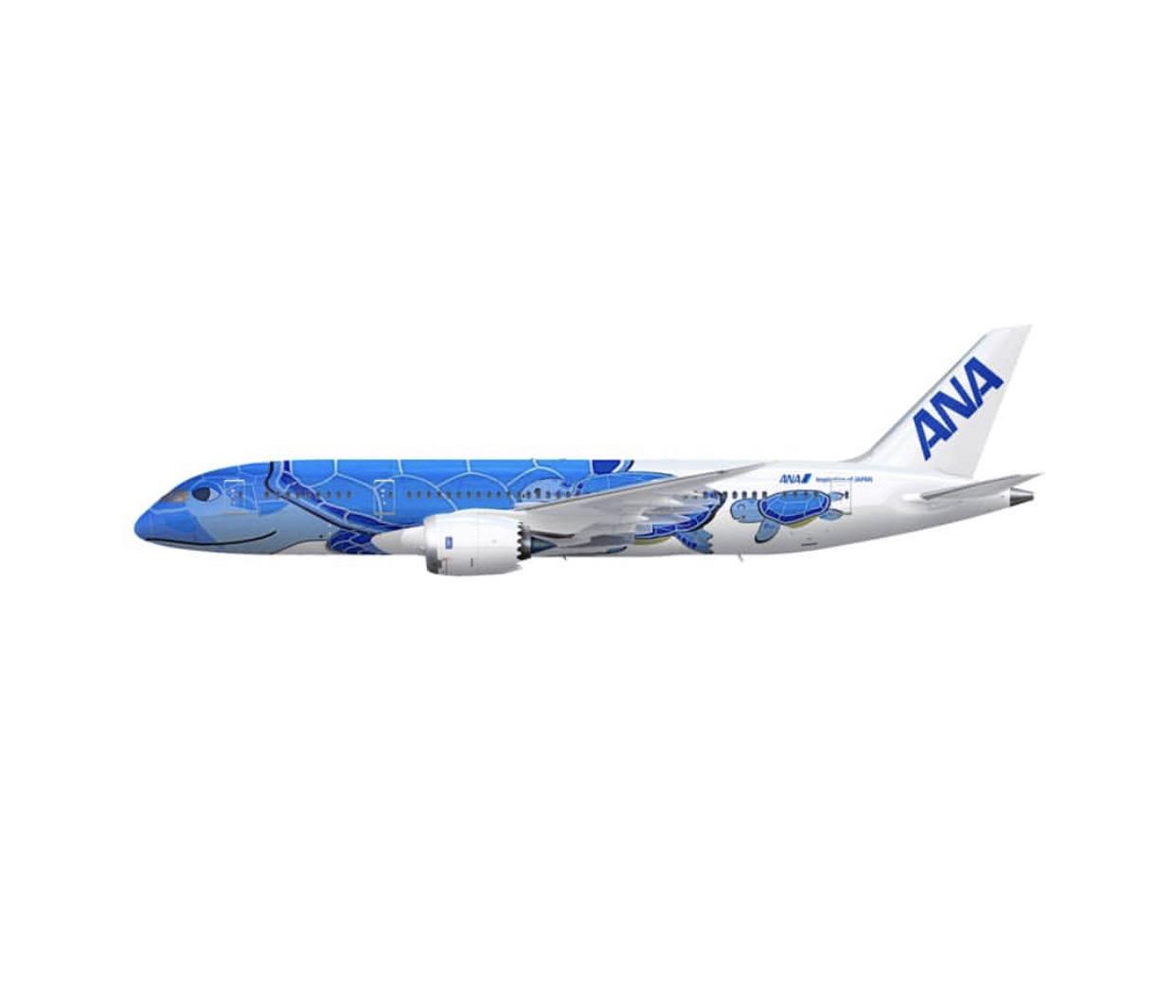 ANA 787 turtle livery concept | Scrolller