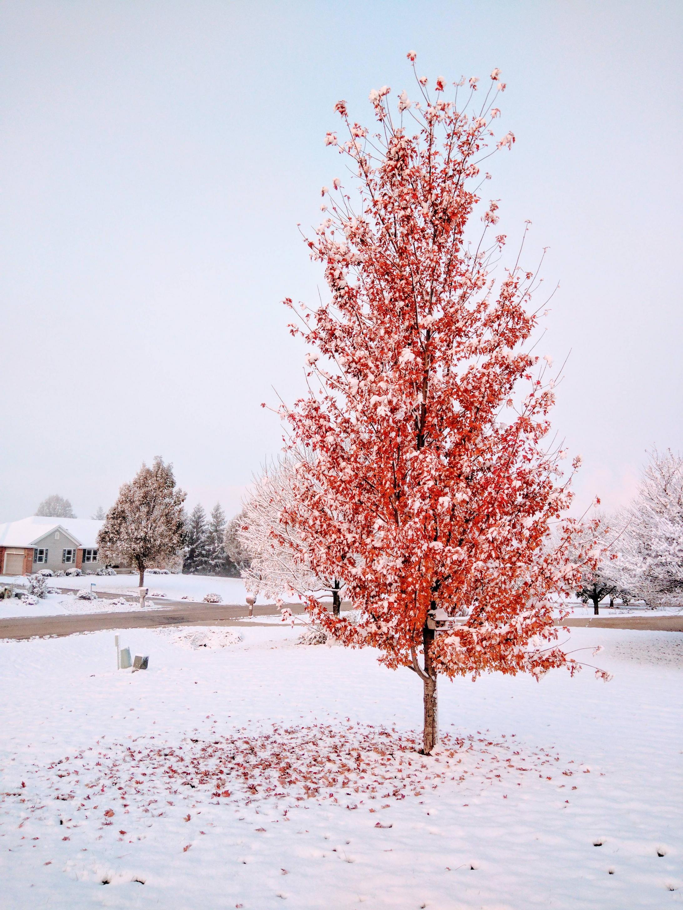 And so it begins. First snowfall of the year in Iowa | Scrolller