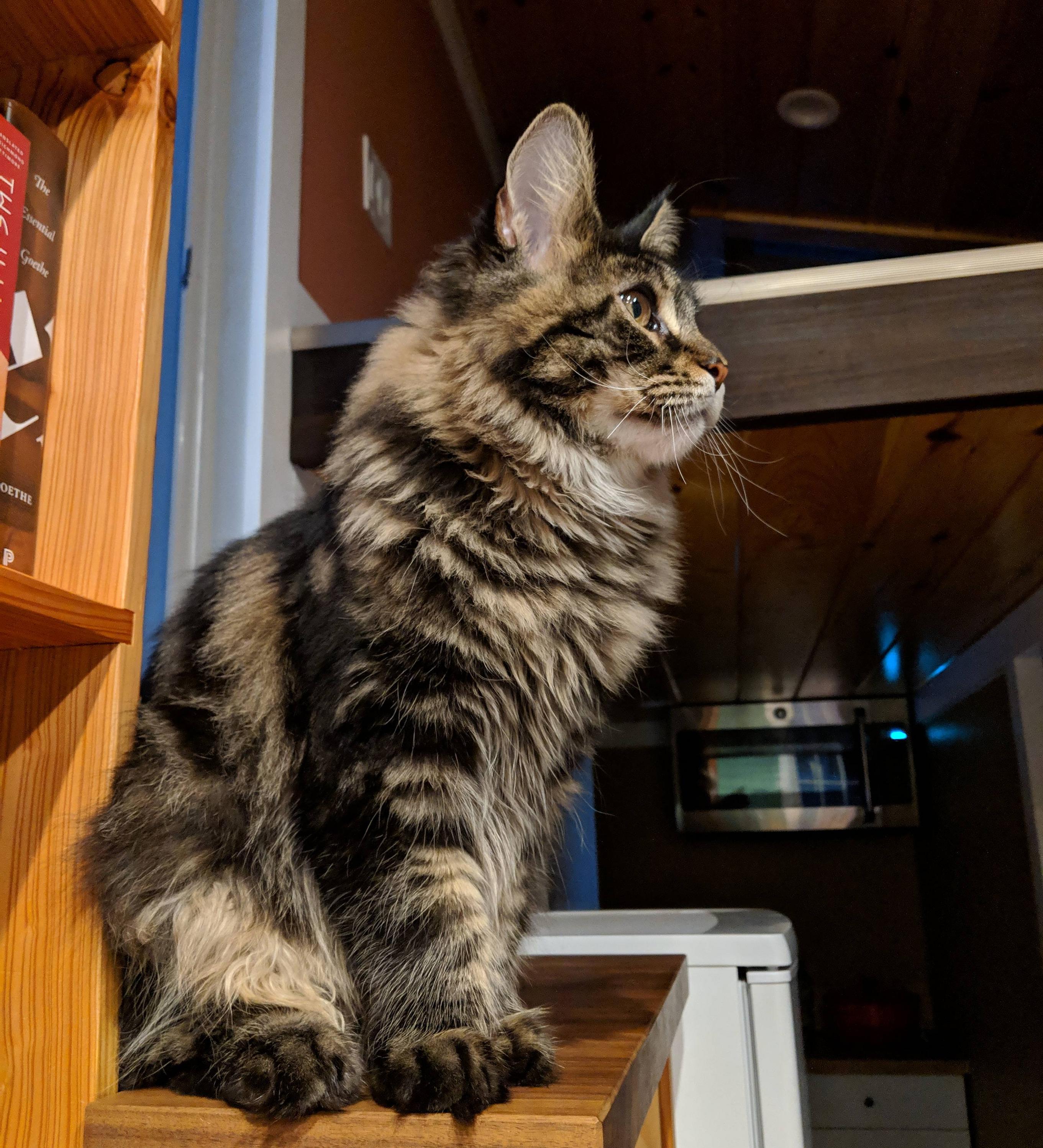 Andy looking regal | Scrolller