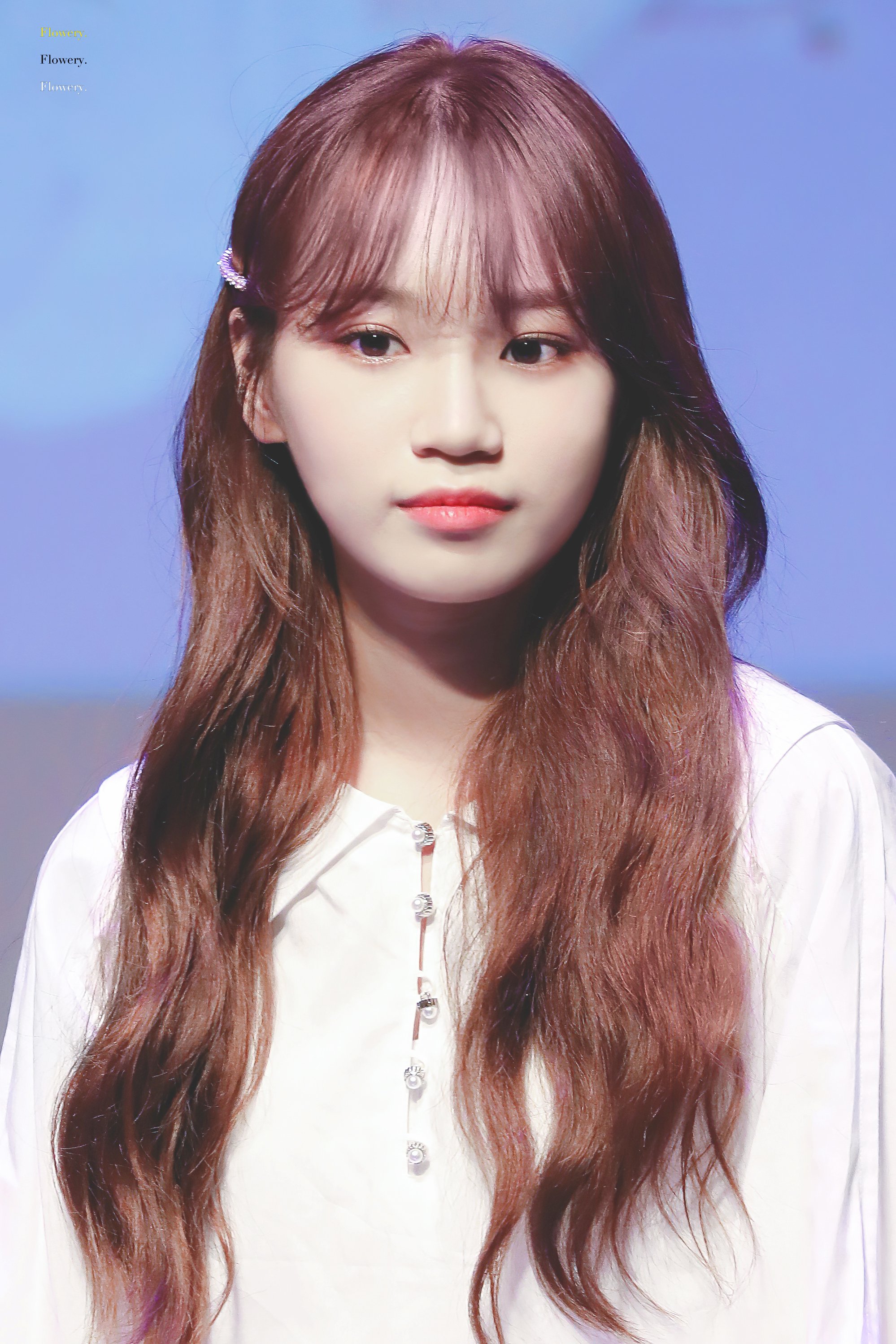 Angel Chaewon | Scrolller