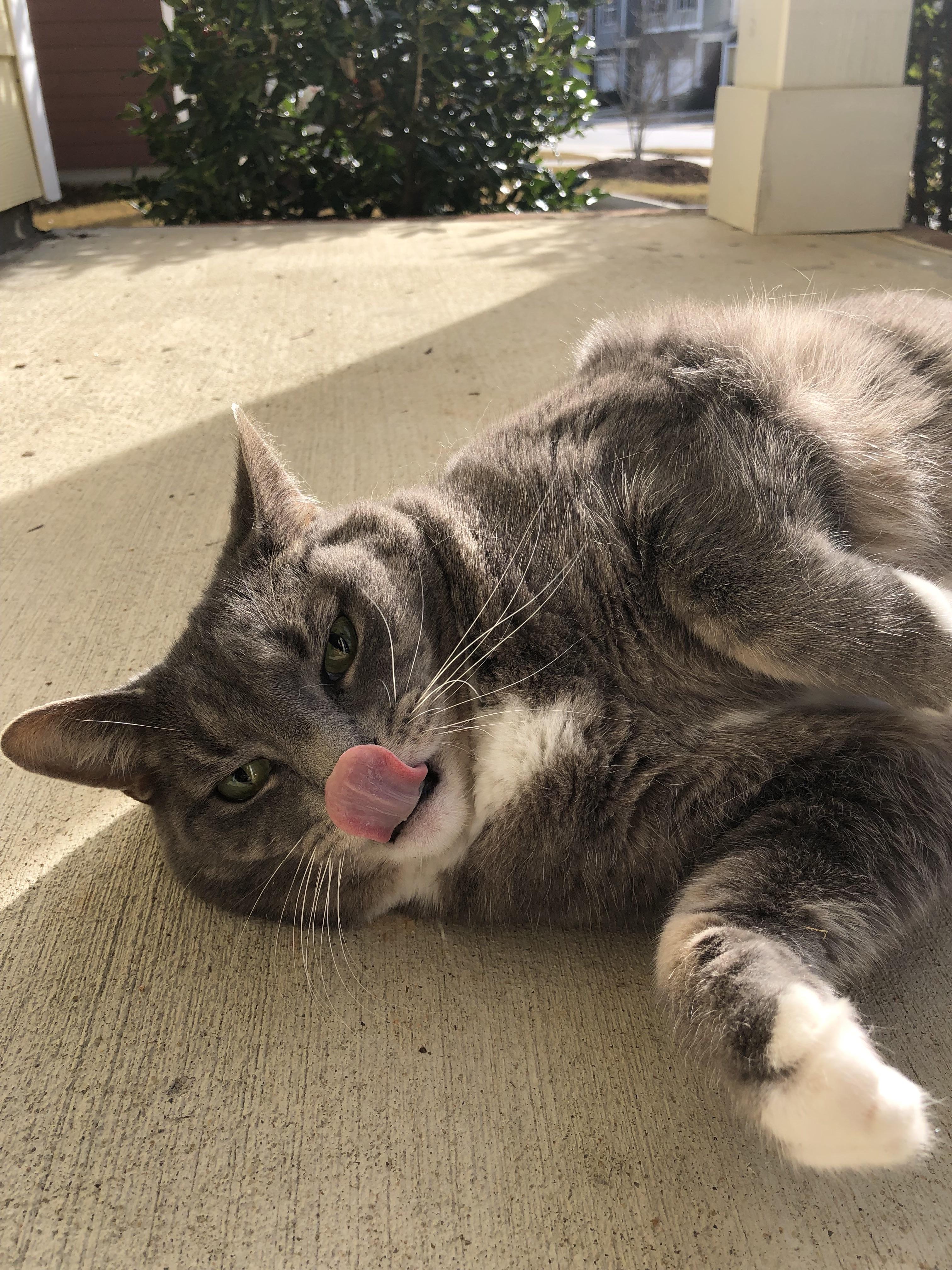 Angry Mlem | Scrolller