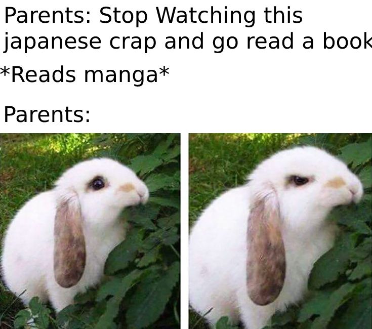 *Angry Noises* | Scrolller