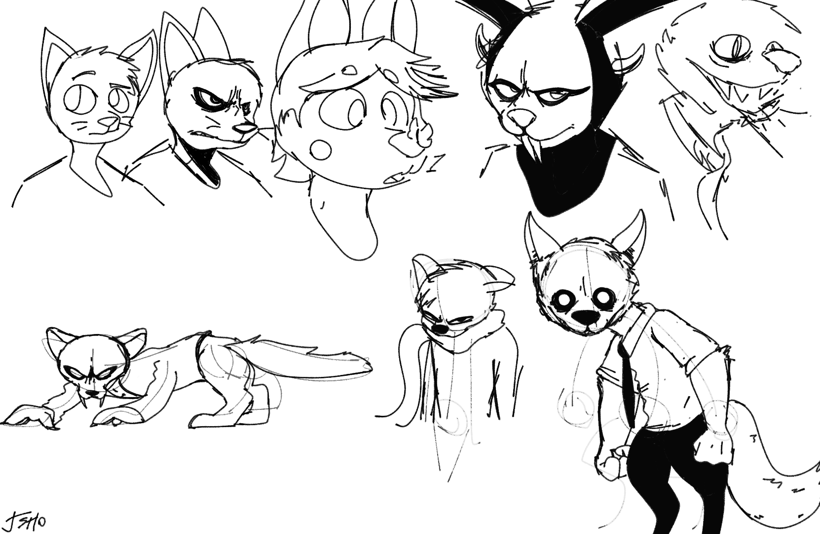 animal study. | Scrolller