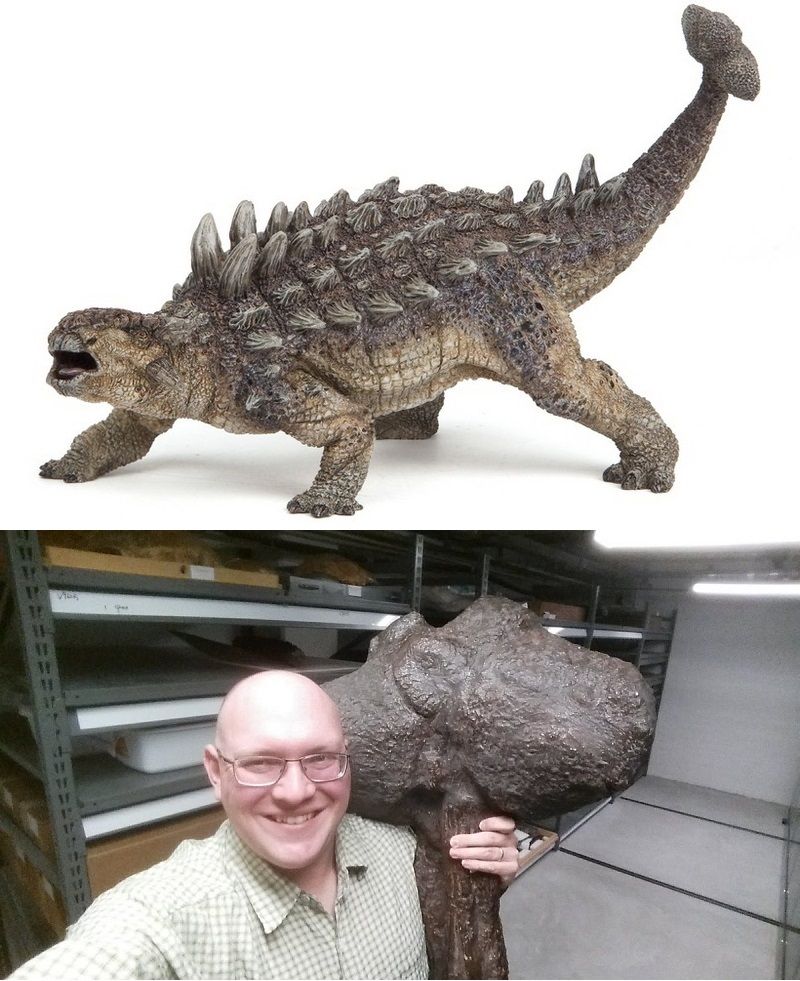 Ankylosaurus are awesome! | Scrolller