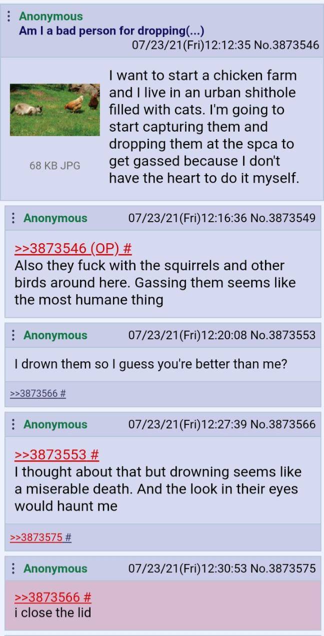 Anon has a cat problem. | Scrolller