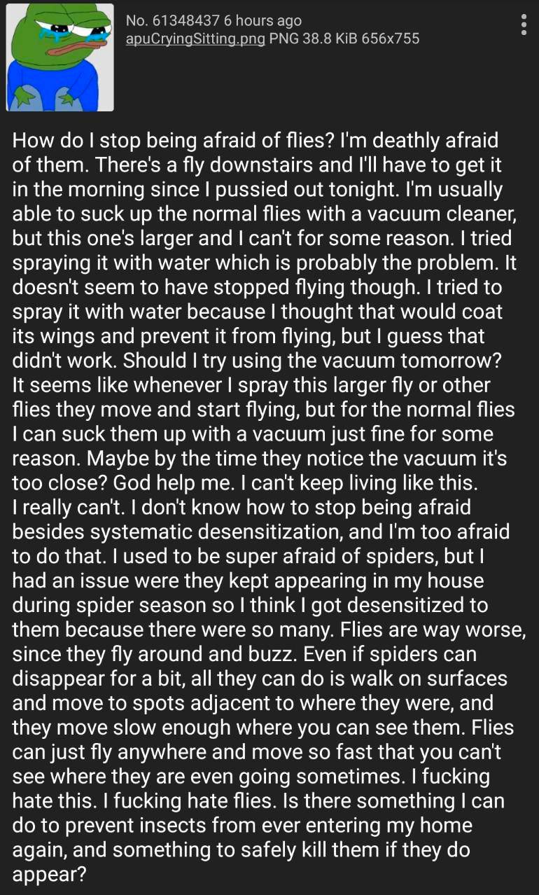 Anon is scared of flies | Scrolller