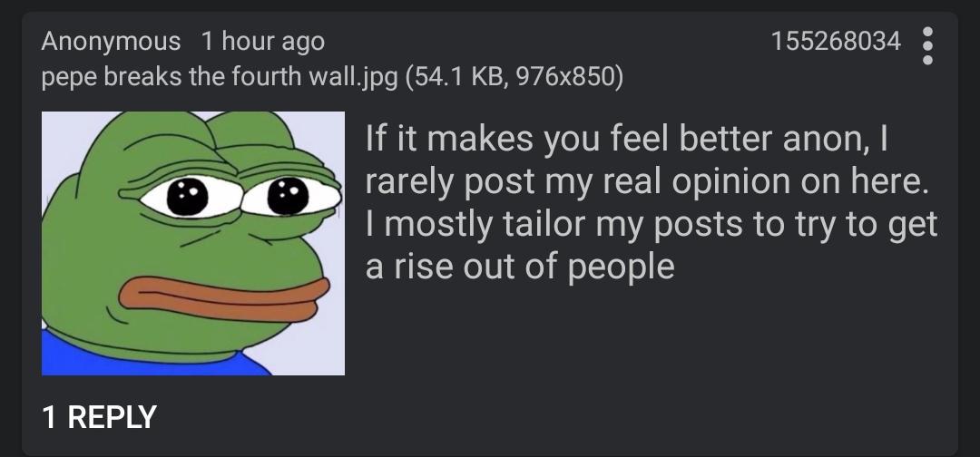 Anon is self aware | Scrolller