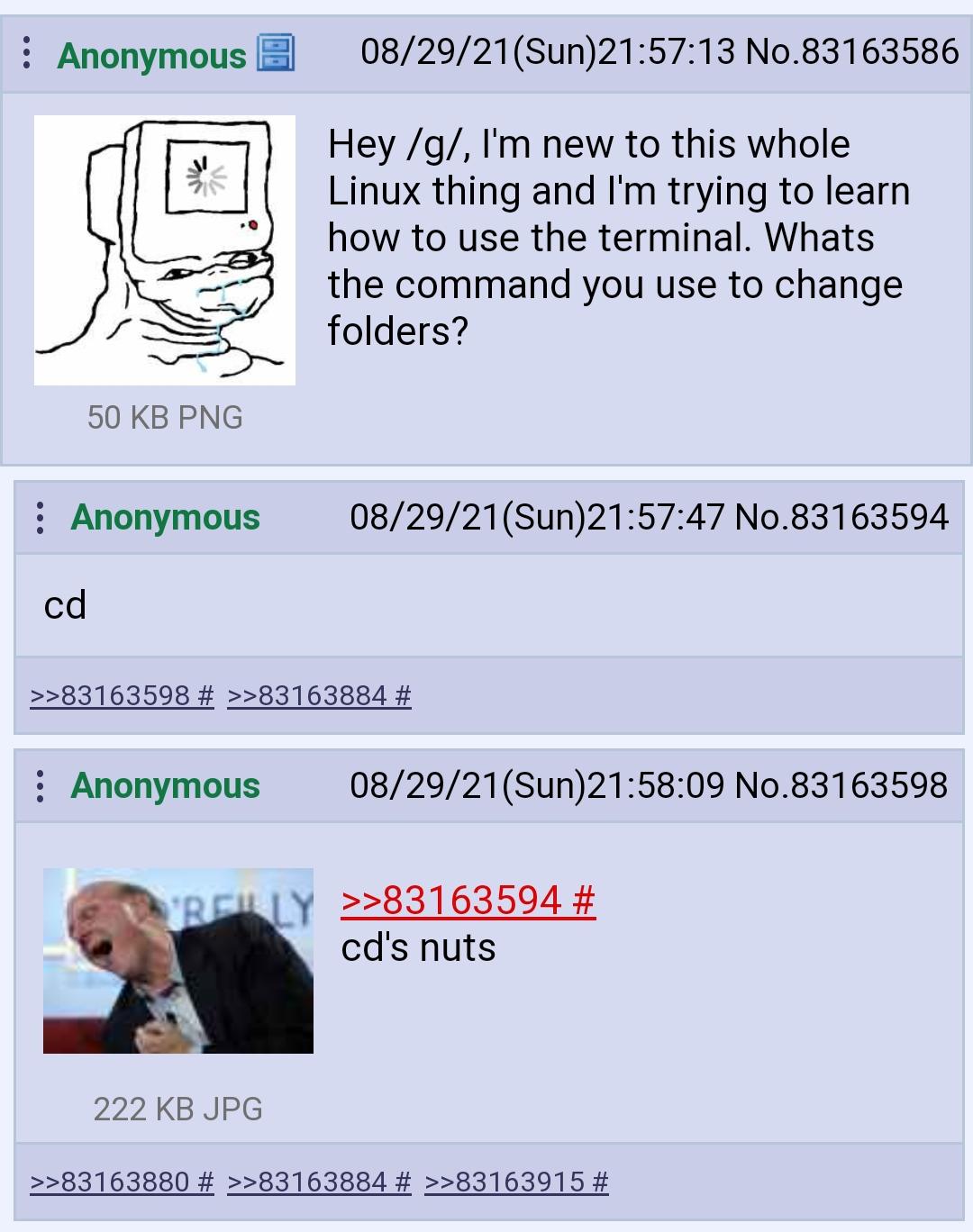Anon learns how to use the terminal | Scrolller
