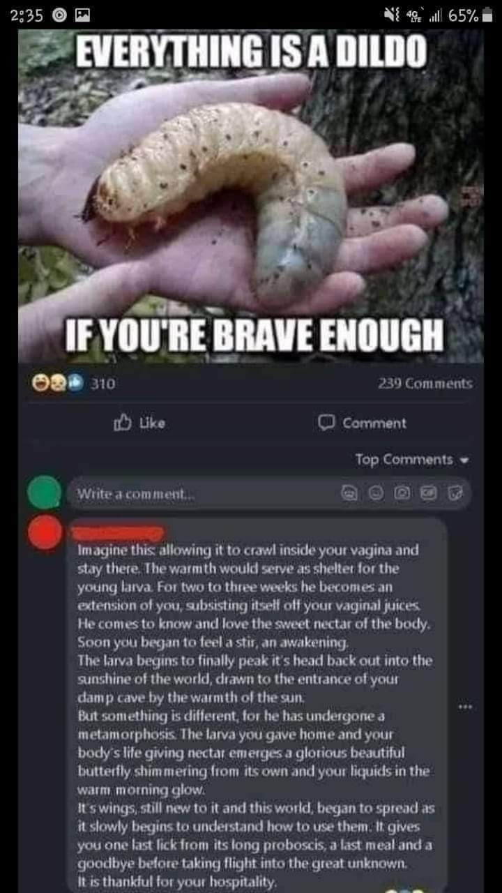 Another dildo | Scrolller