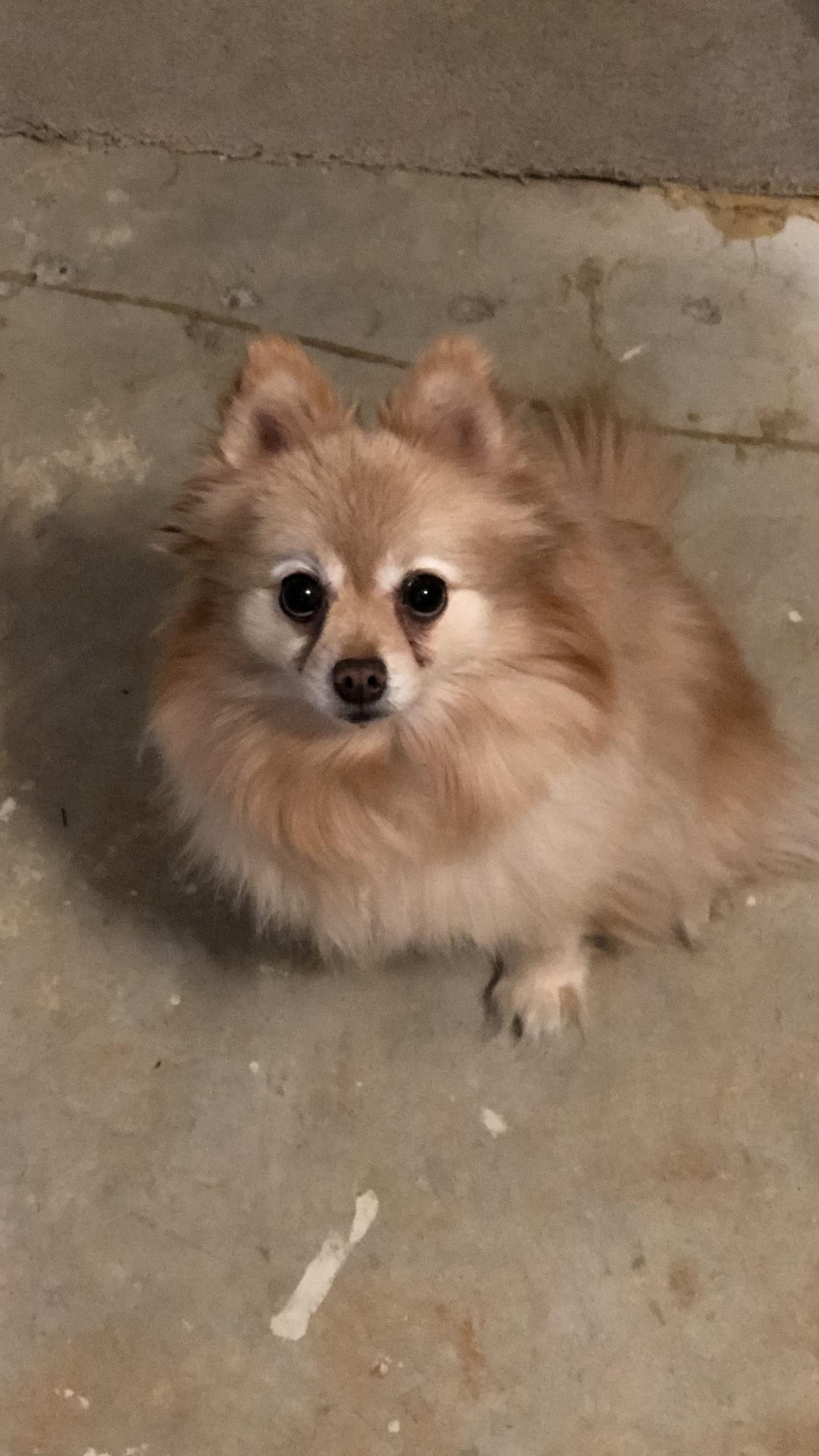 Another one of sandy | Scrolller