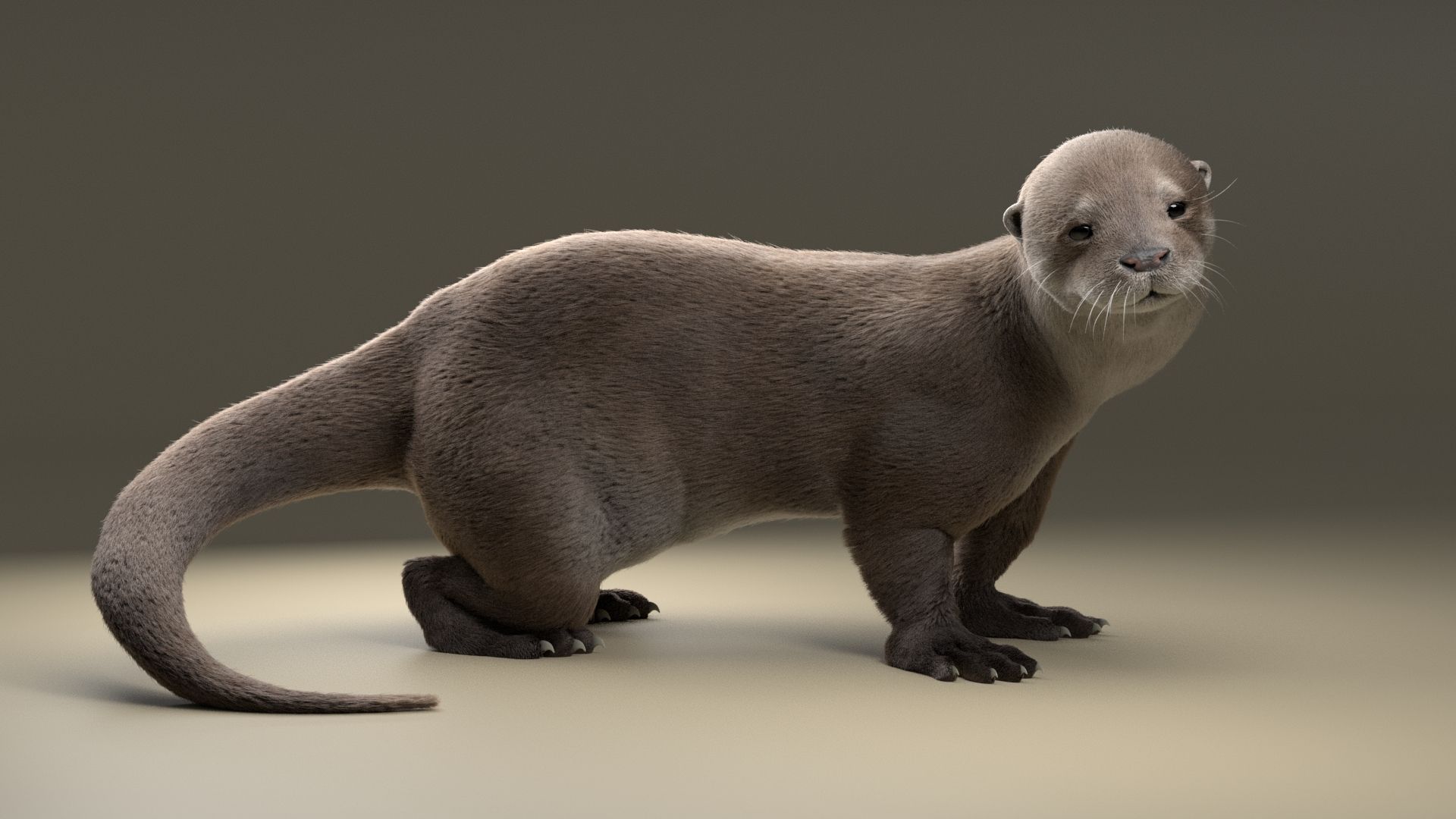 another render of the otter, more details here :) https://www.therookies.co/projects/11506 ...