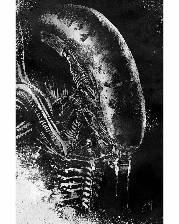 Another sketch of xenomorph | Scrolller