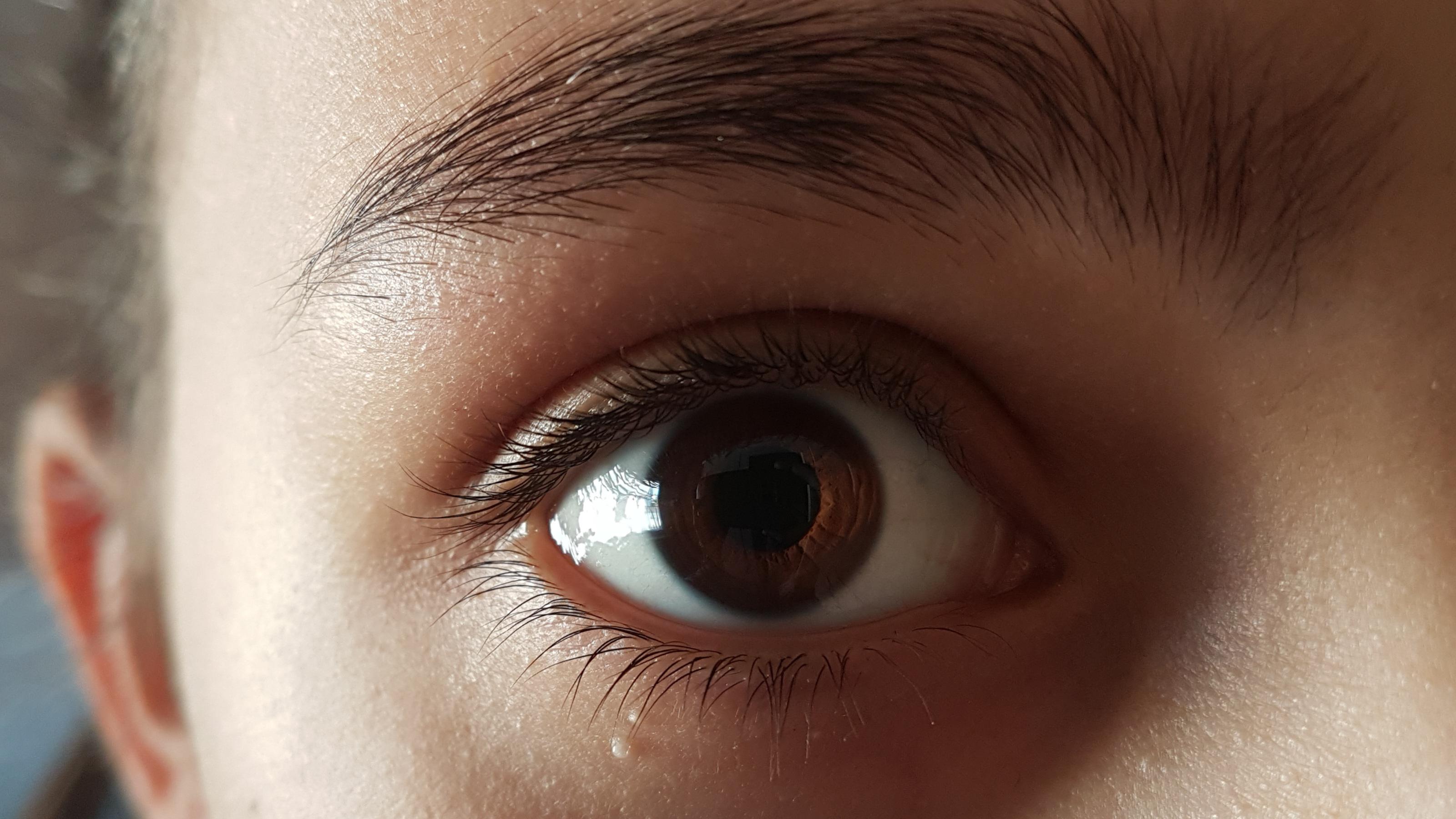 Any Appreciation For Medium Brown Eyes This Is Mine In Normal Day any-appreciation-for-medium-brown-eyes-this-is-mine-in-normal-day