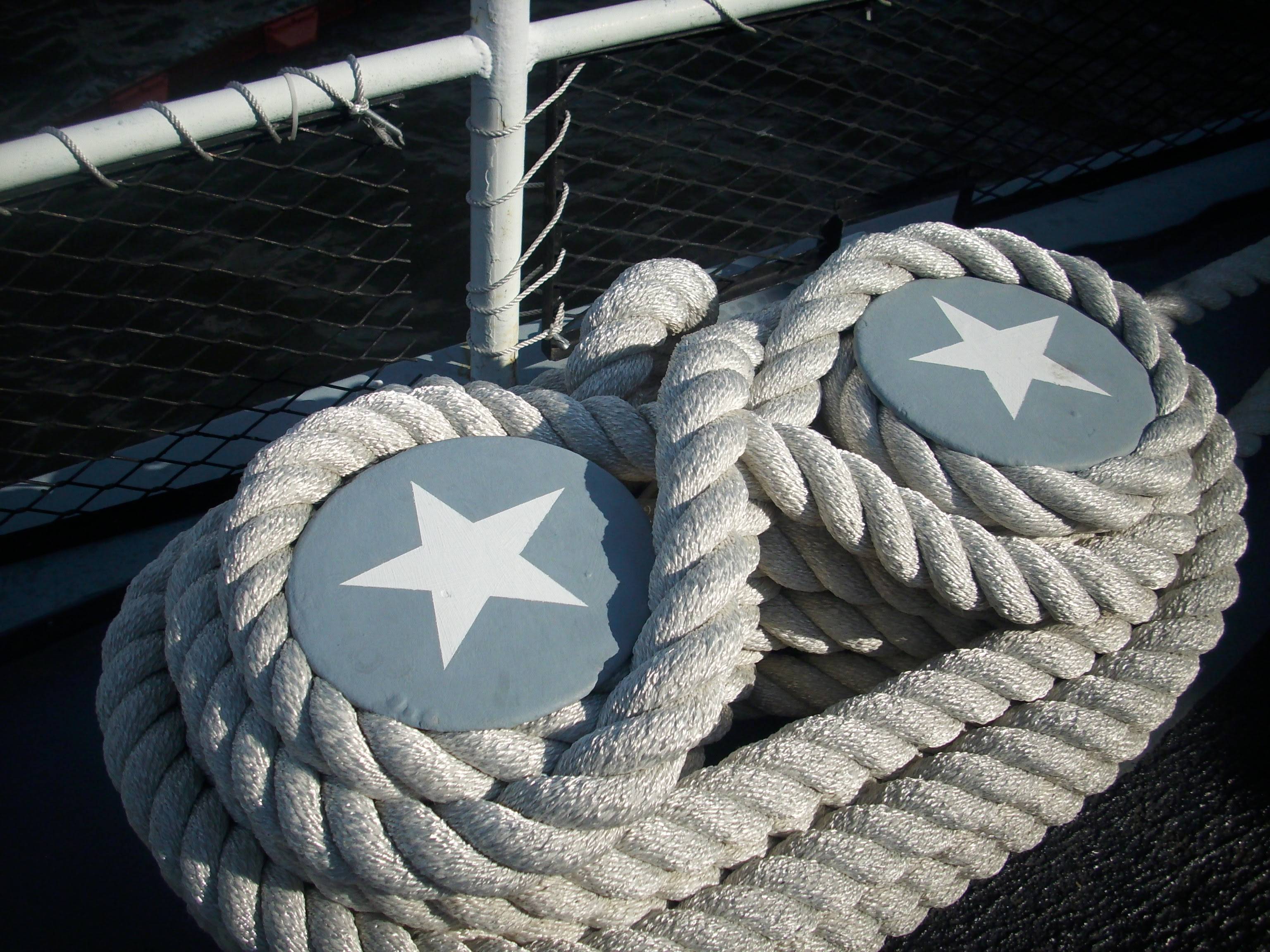 Any idea what kind of knot this is? | Scrolller