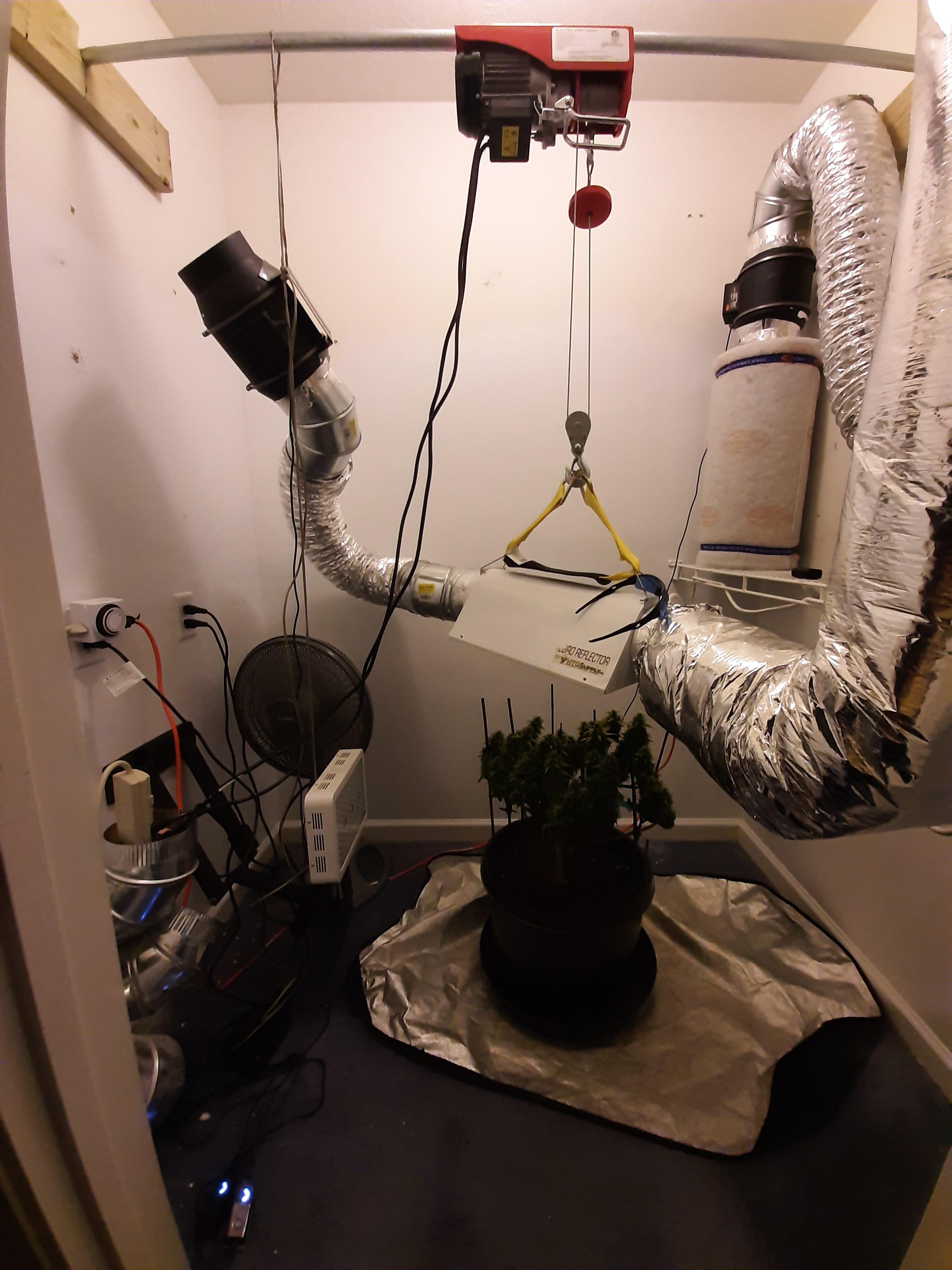 Any other growers stuck in a wheelchair? Finally had the only trusted ...