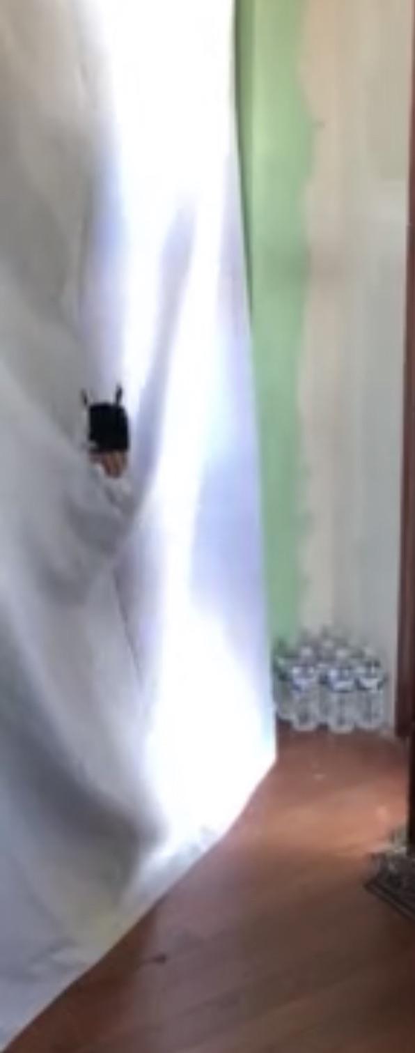Any Thik Cocks Or Anyone Like A Glory Hole Girls And Guys Welcome San