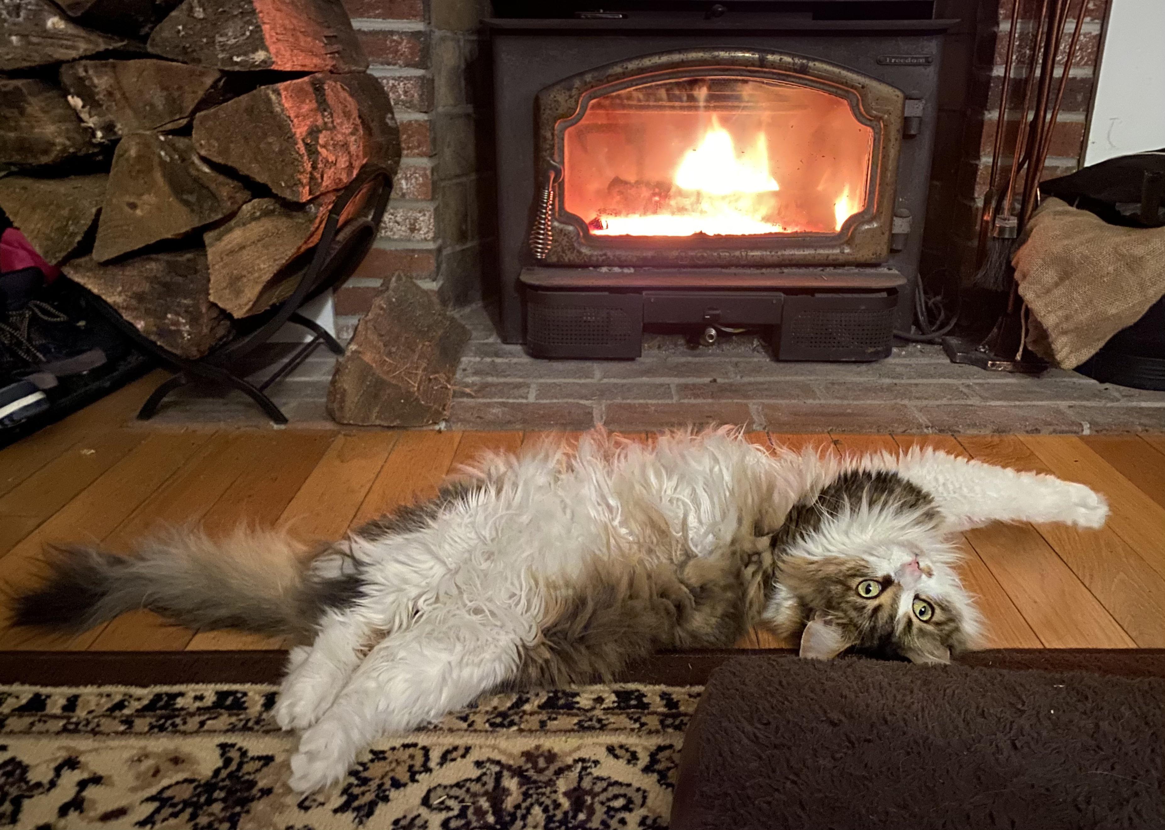 Anyone else’s obsessed with the fireplace? | Scrolller