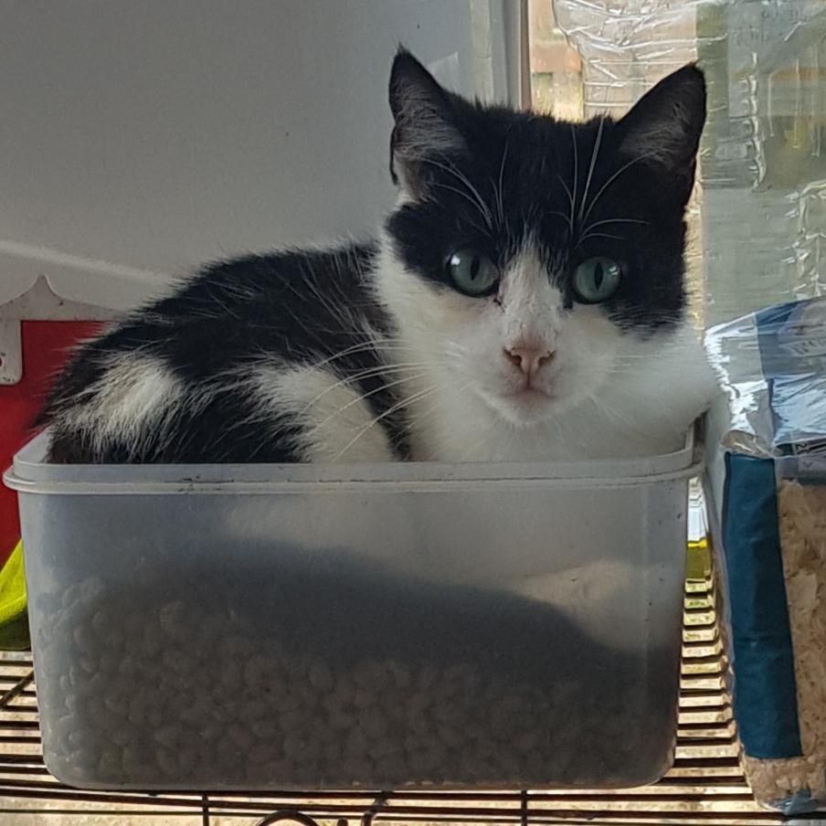 Anything's a bed if you're persistent enough | Scrolller