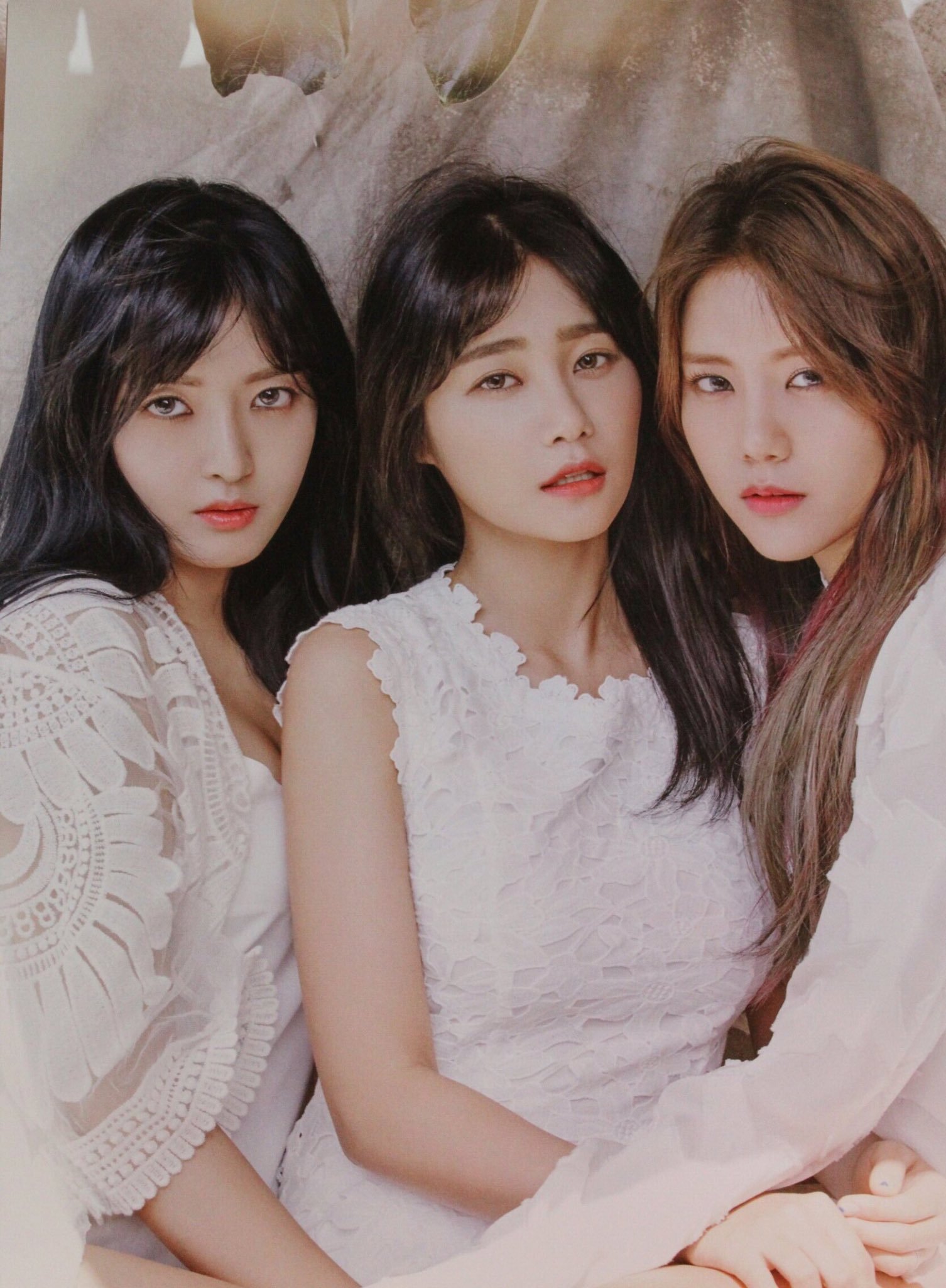 AOA Cream | Scrolller