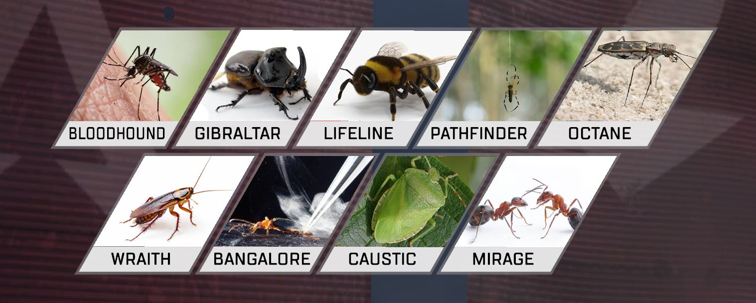 Apex legends but all legends are bugs. | Scrolller