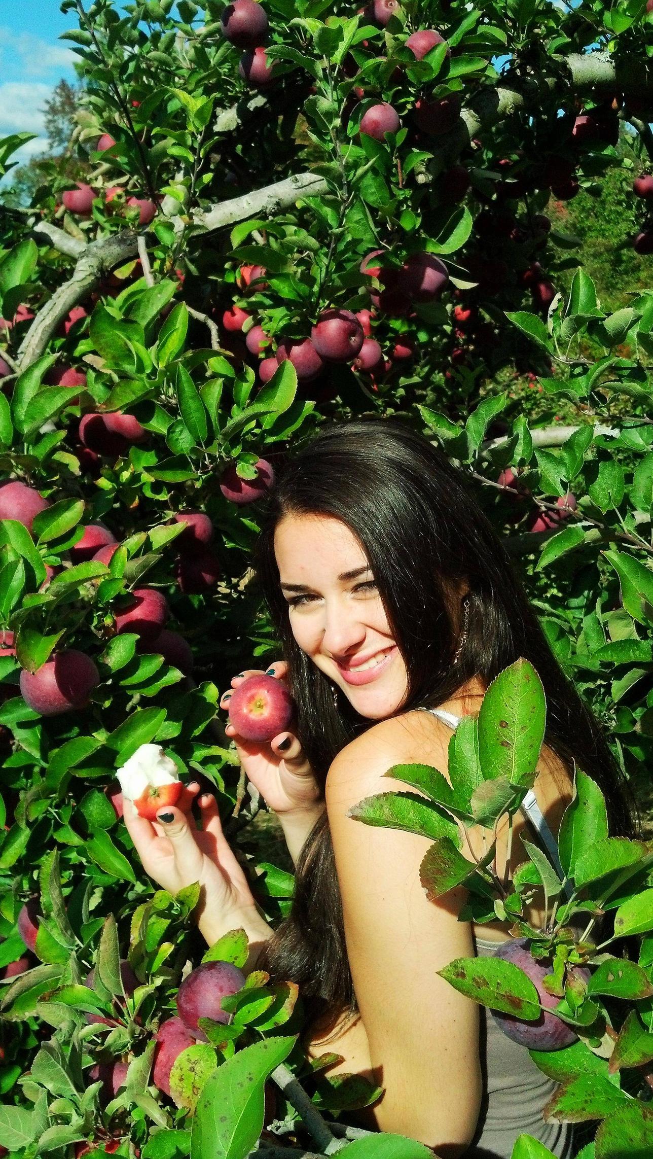 Apple Picking | Scrolller