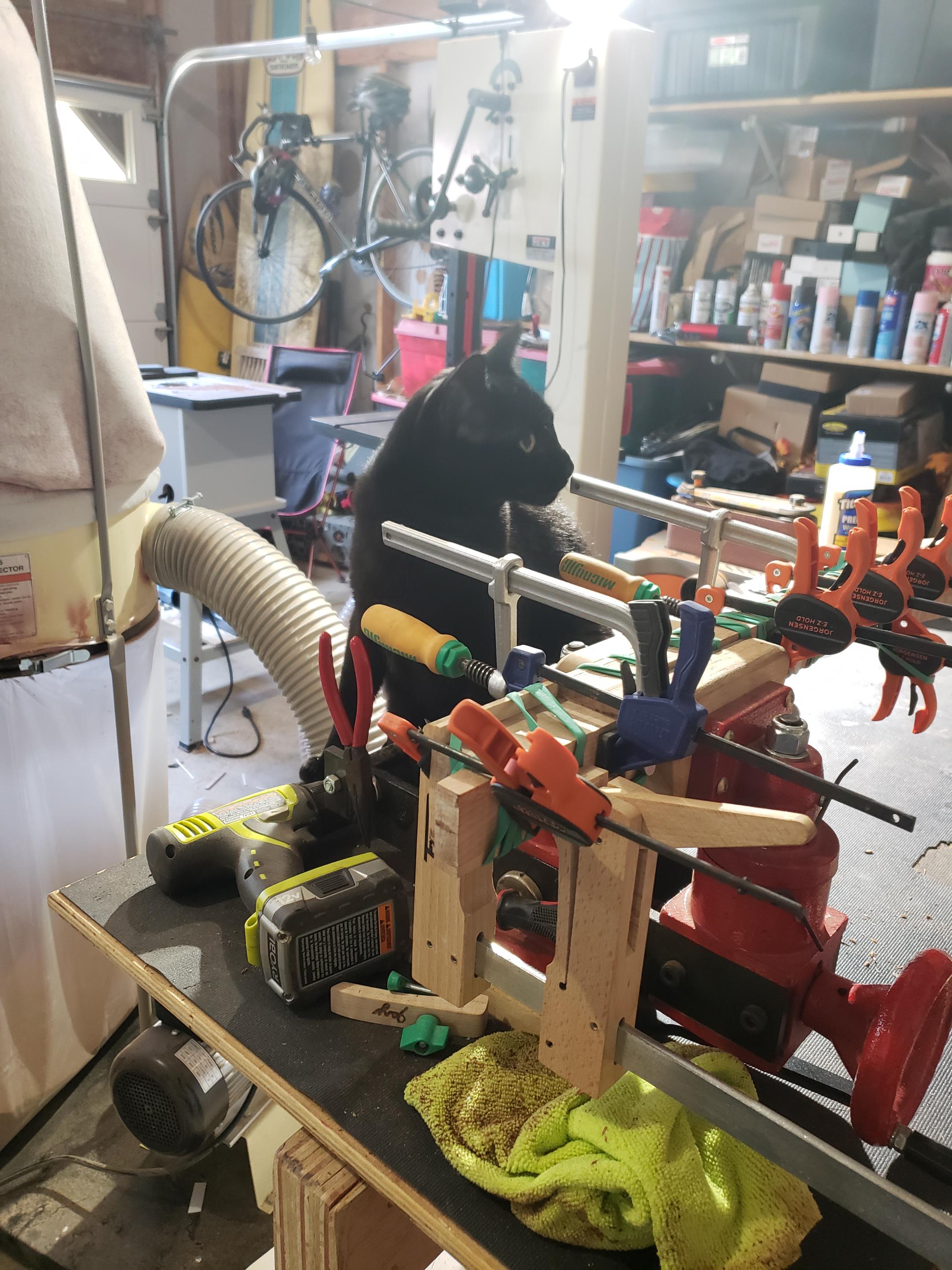 Apprentice Luthier | Scrolller