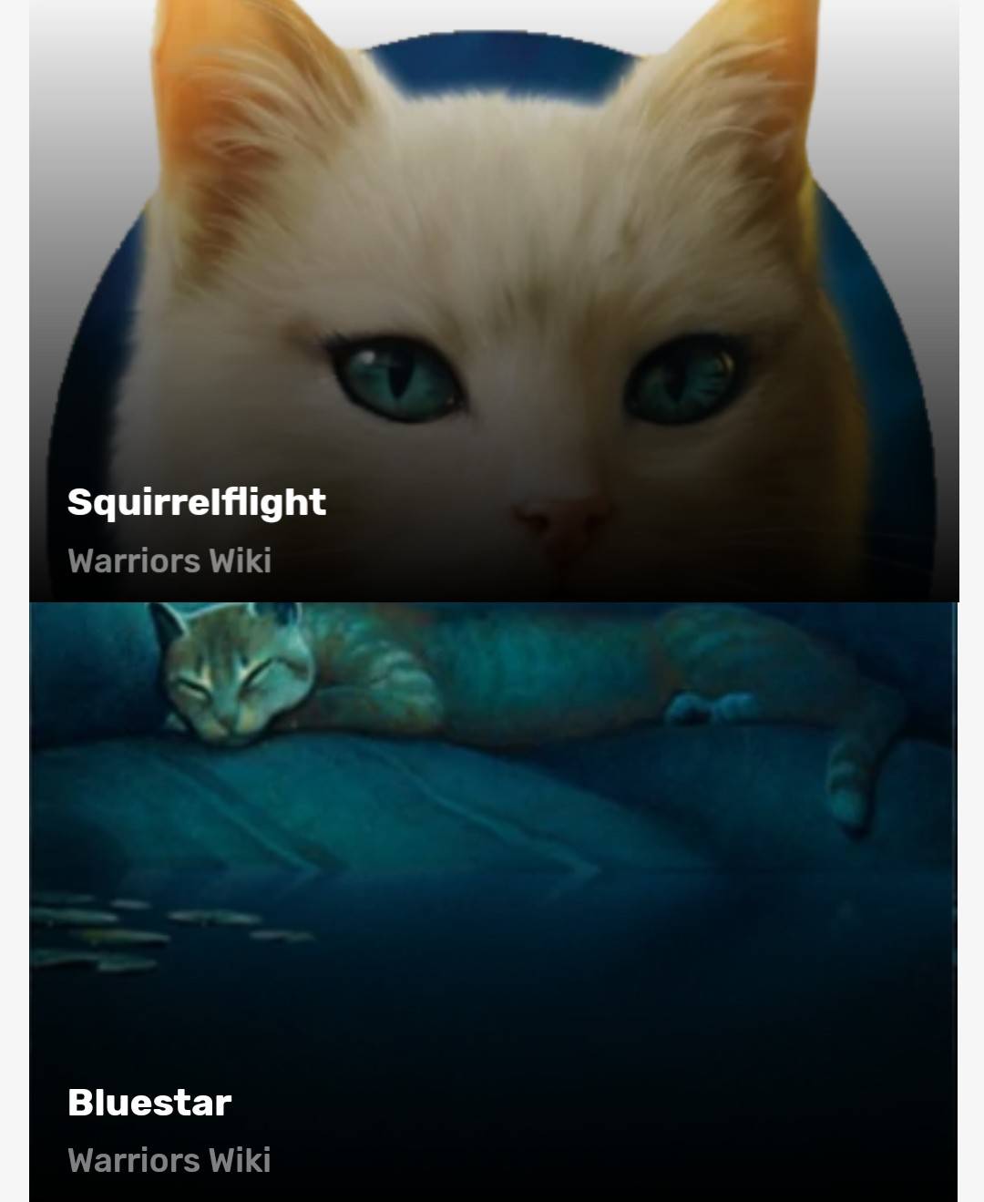 Are you sure about that, Warriors Wiki? | Scrolller