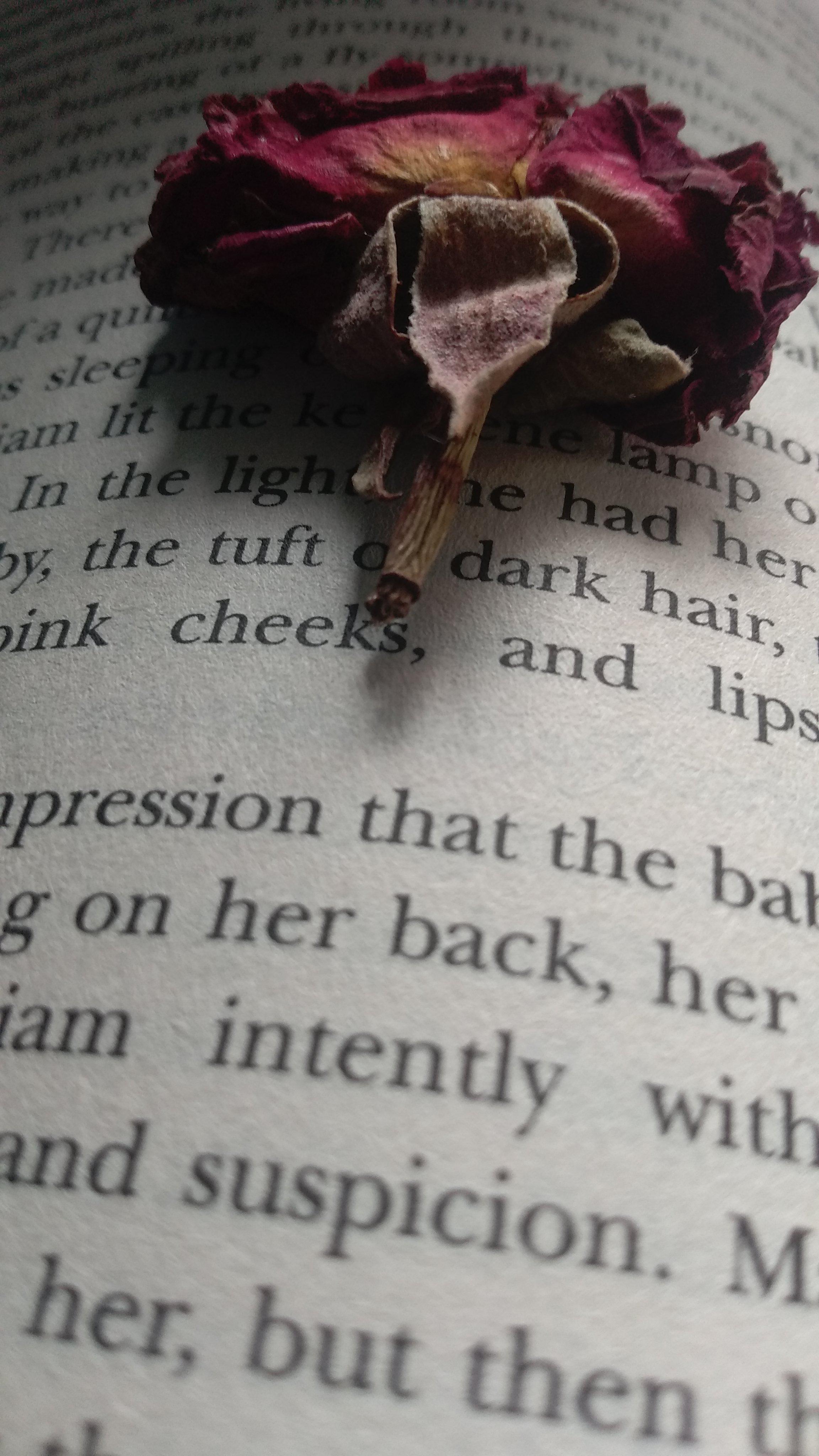 Aren't old books and dried roses the most beautiful couple | Scrolller