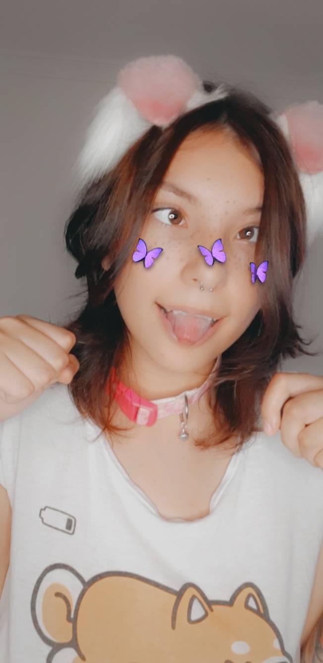 Puppy goes silly | Scrolller