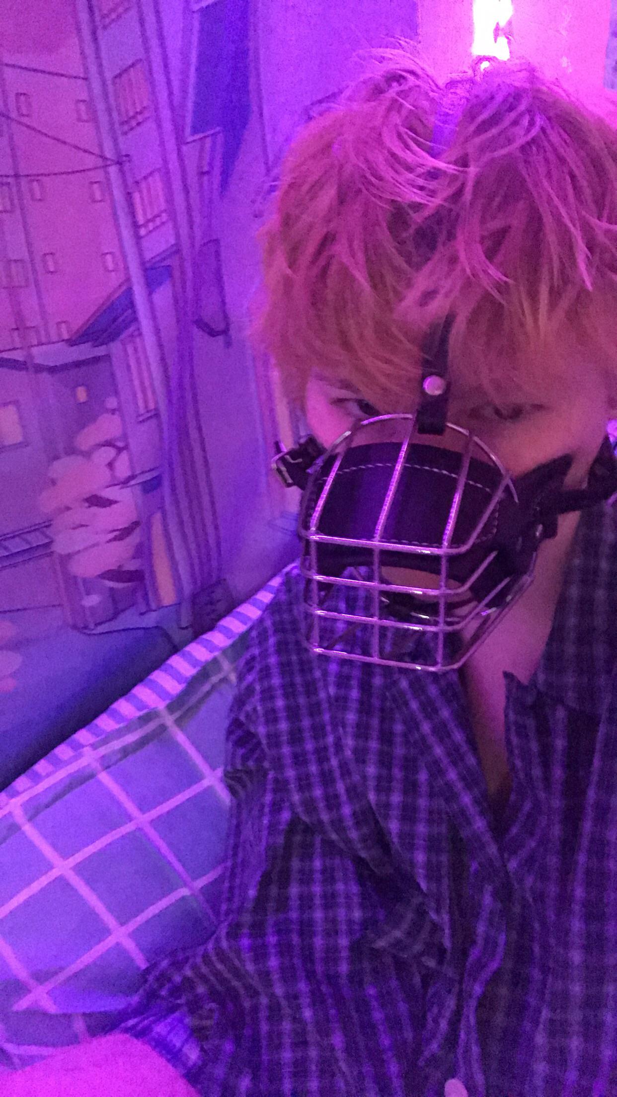 arf. hello! | Scrolller