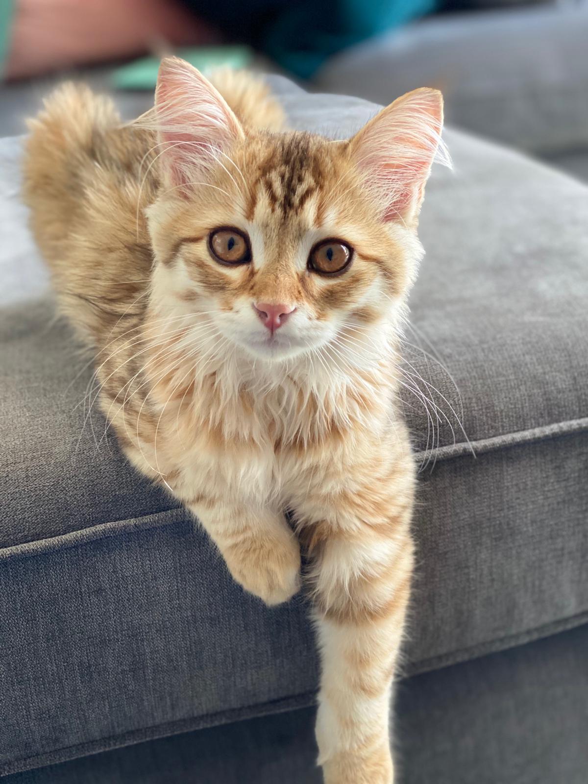 Arlo looking extra handsome today! | Scrolller